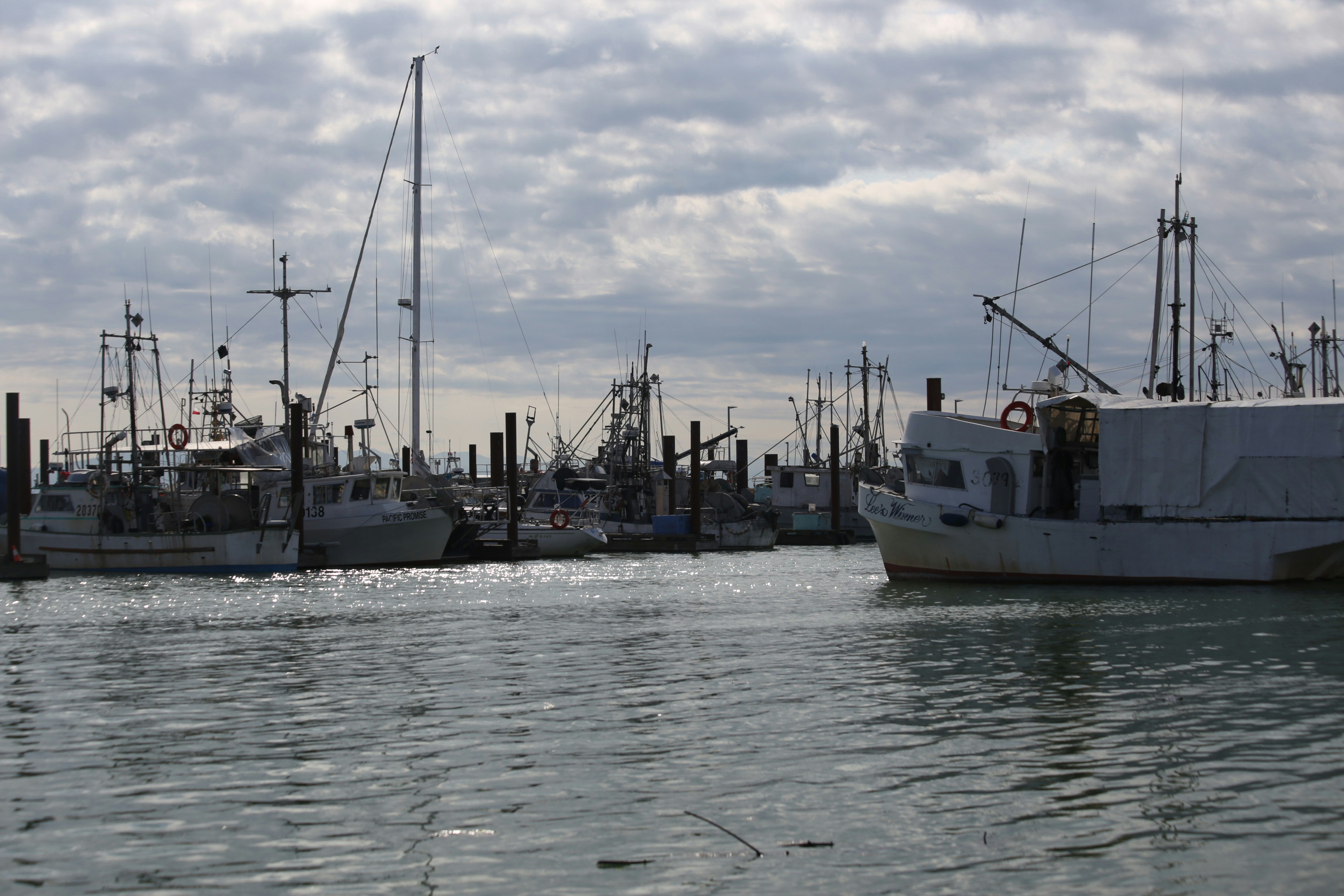 Harbor Silhouettes at Dusk: Boats Rest in Quiet Calm