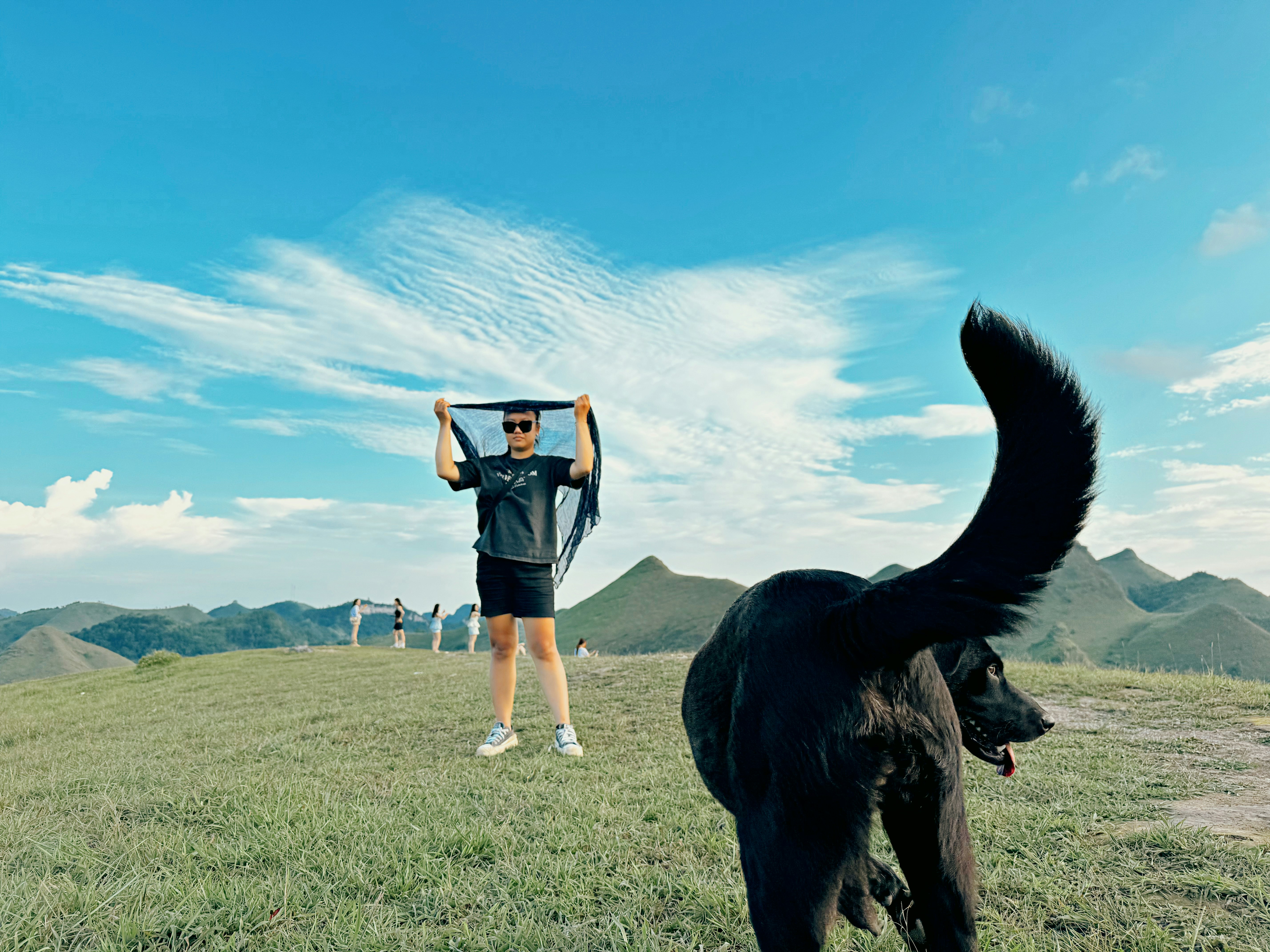 Pleasant Ridge Workout: Man with a scarf-like banner and a Black Dog in a sunlit hilltop