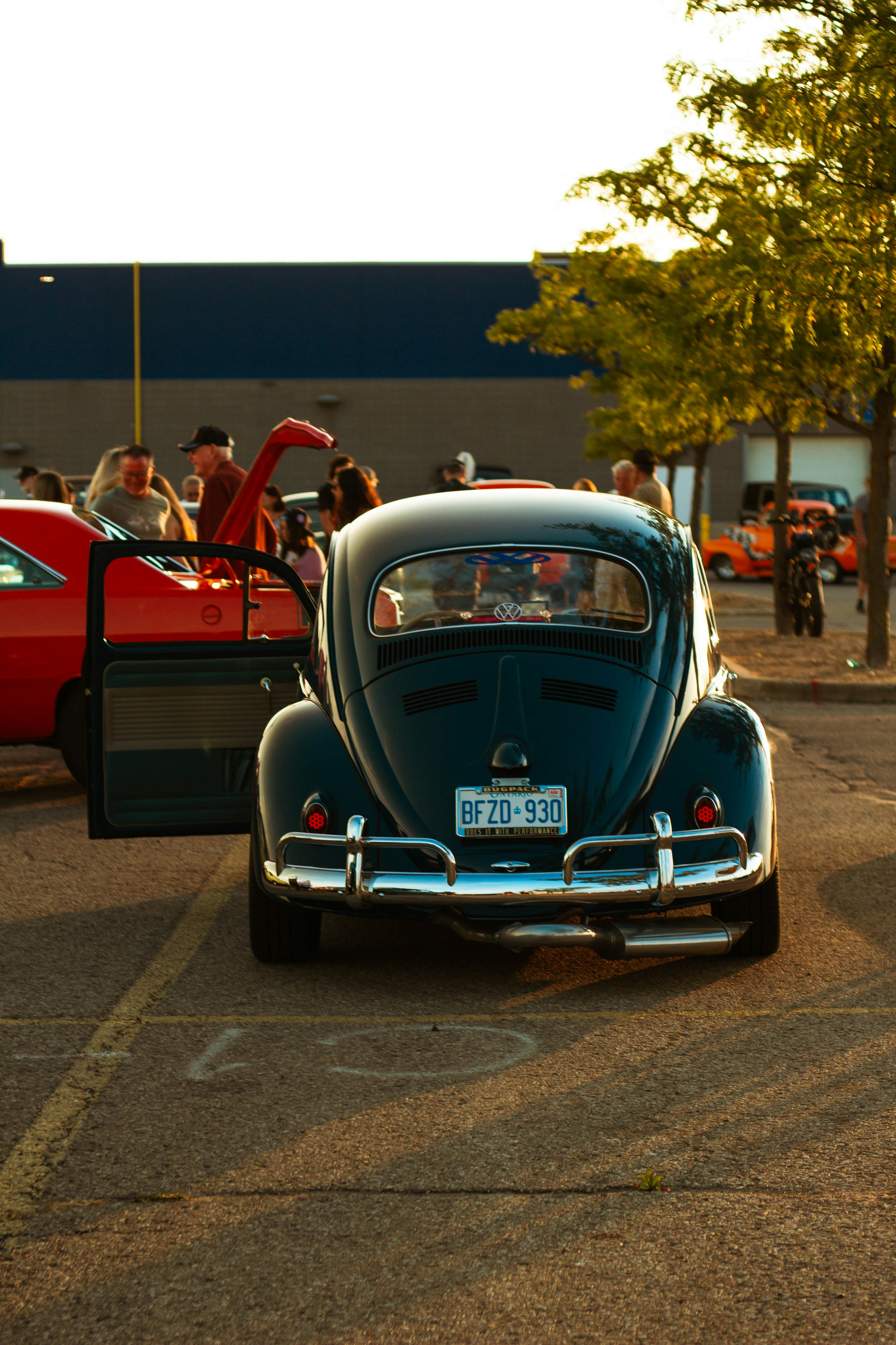 Rear View Vintage: Classic Volkswagen in a Sunlit Car Meet