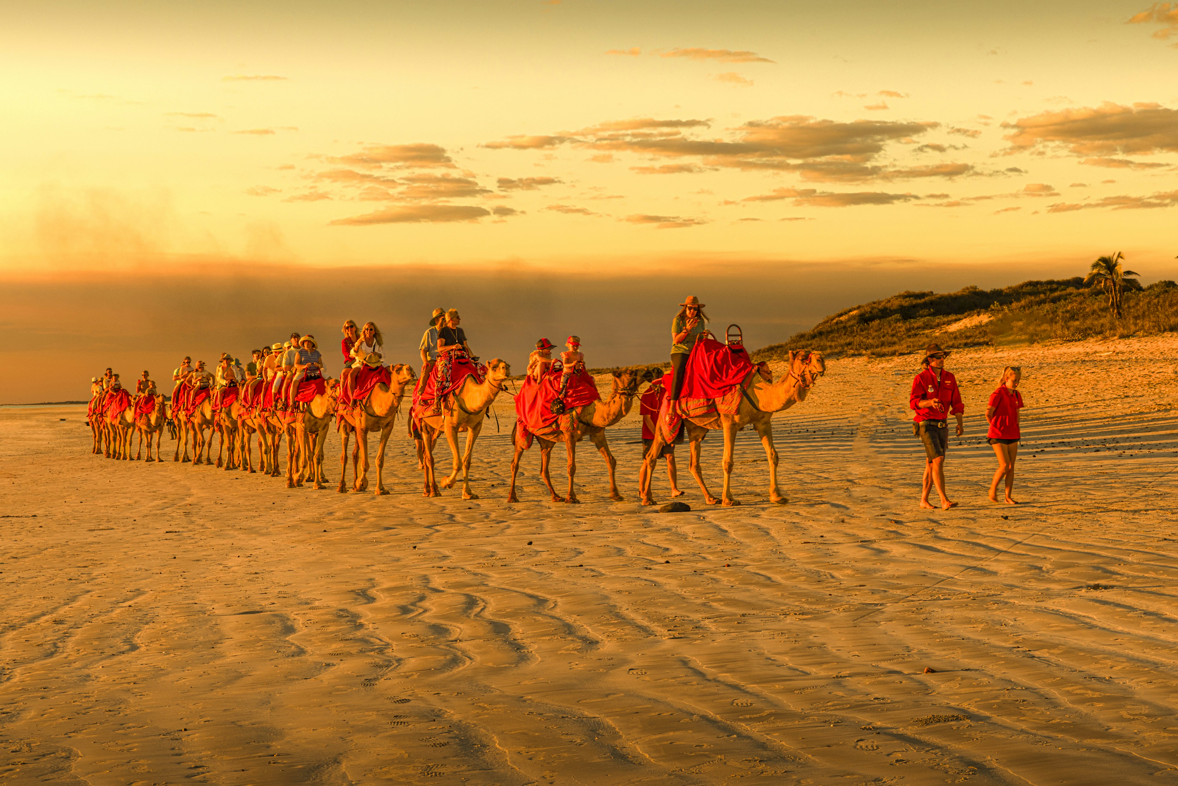 Sunlit Caravan: Camels and Riders Sweep Across a Golden Dune Shore