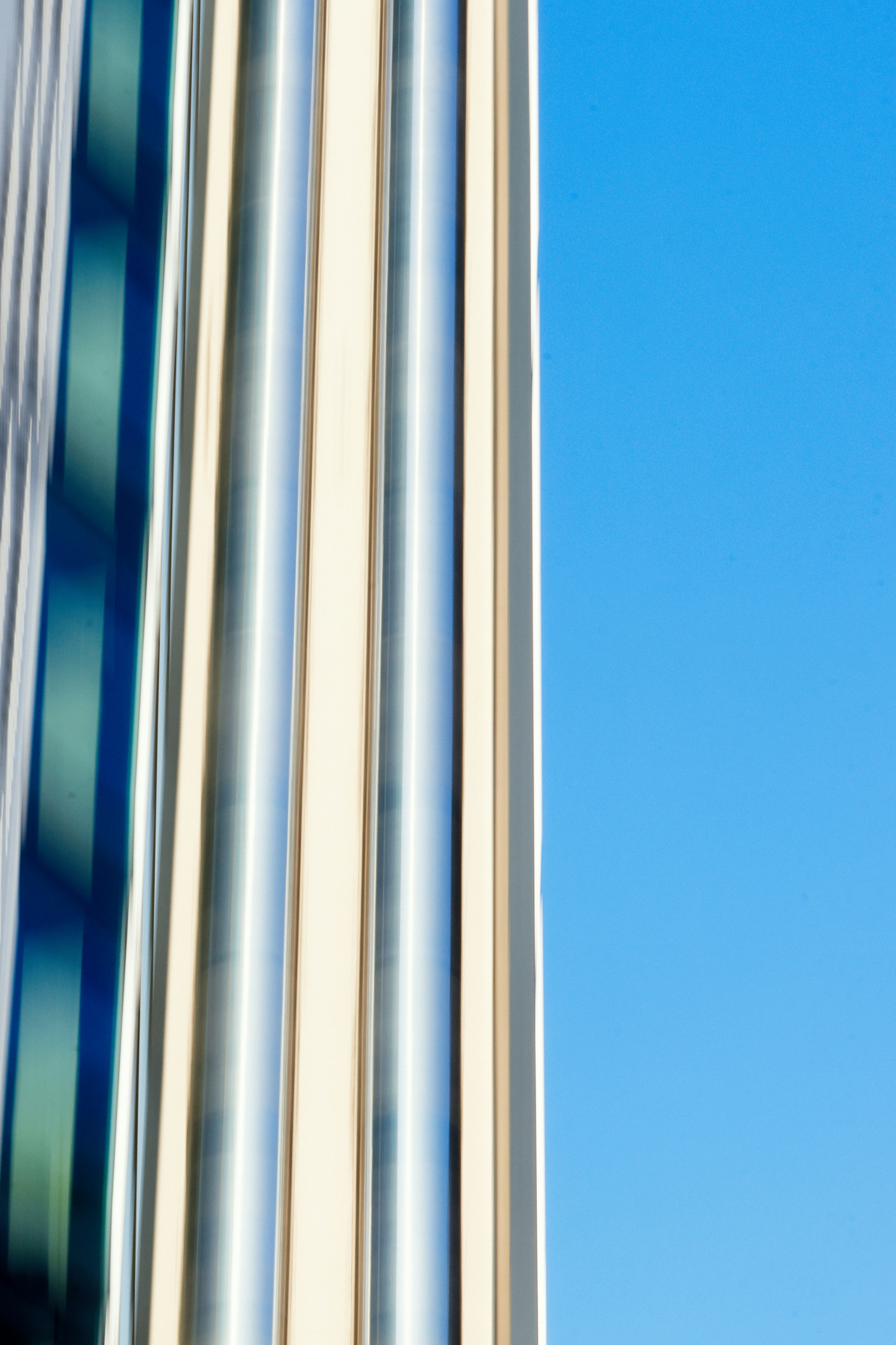 Vertical Strands against a Crisp Blue Sky