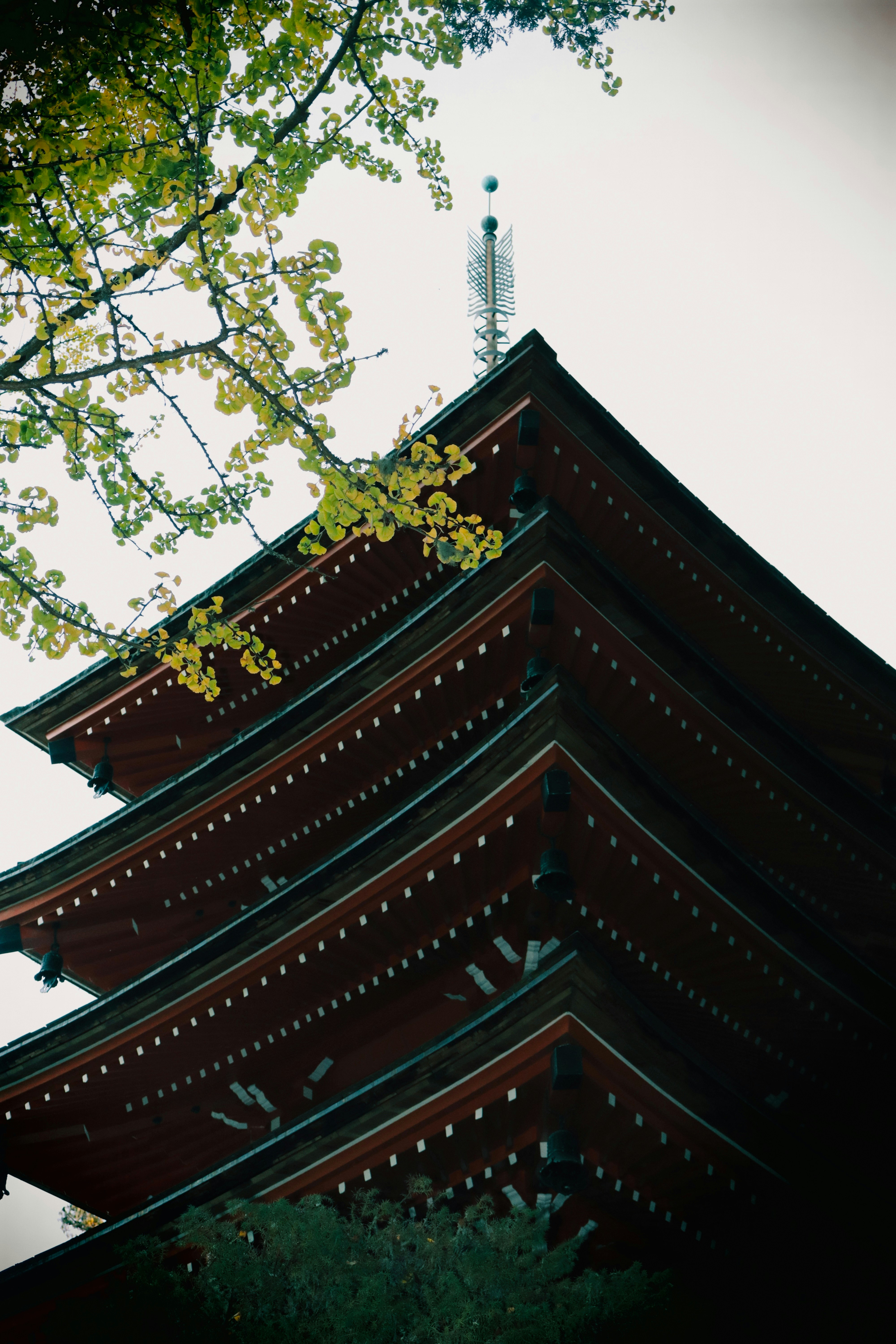 Temple Spire in Seasonal Dusk