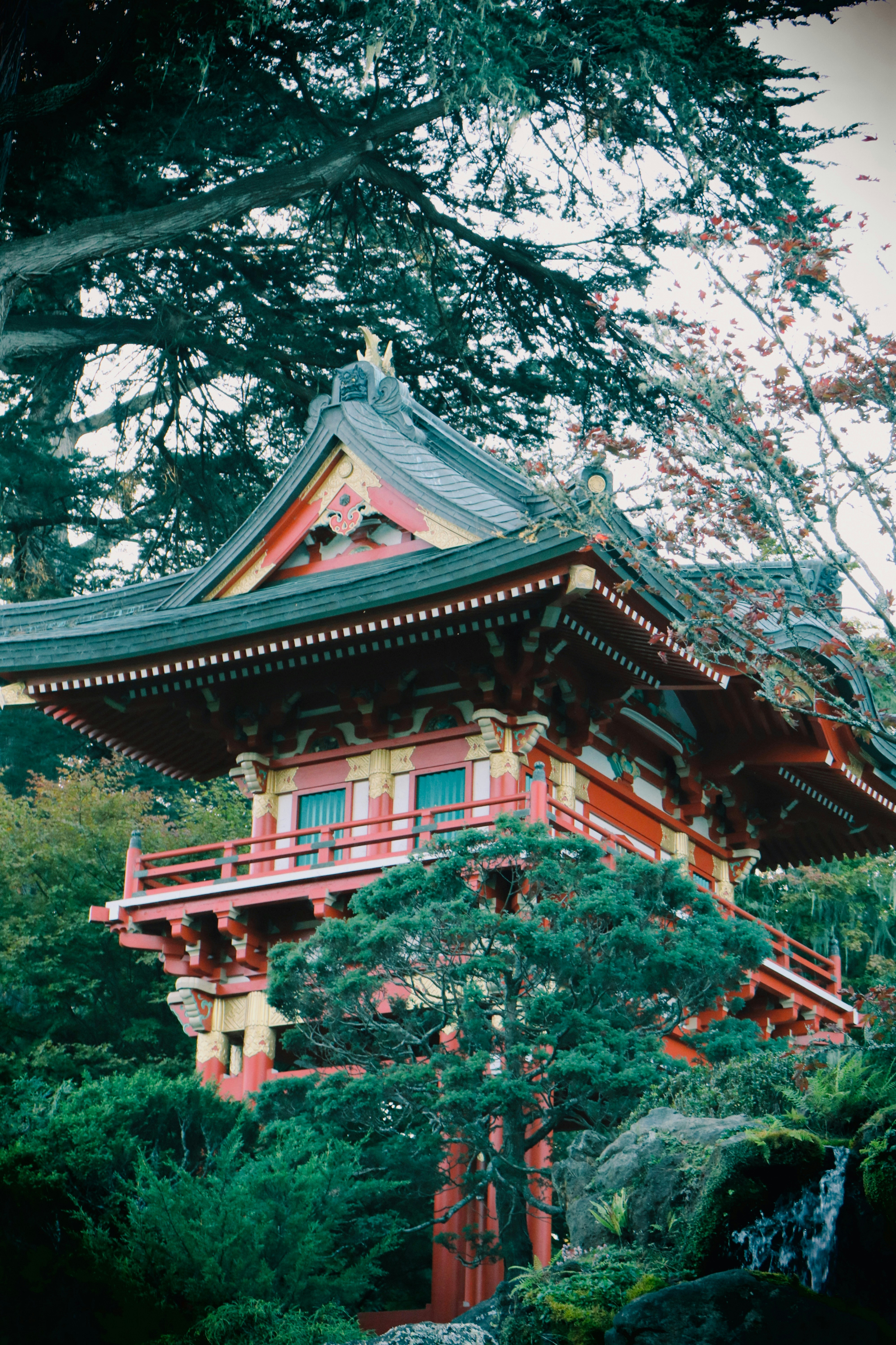 Zen Pavilion Amid Evergreen Whispers