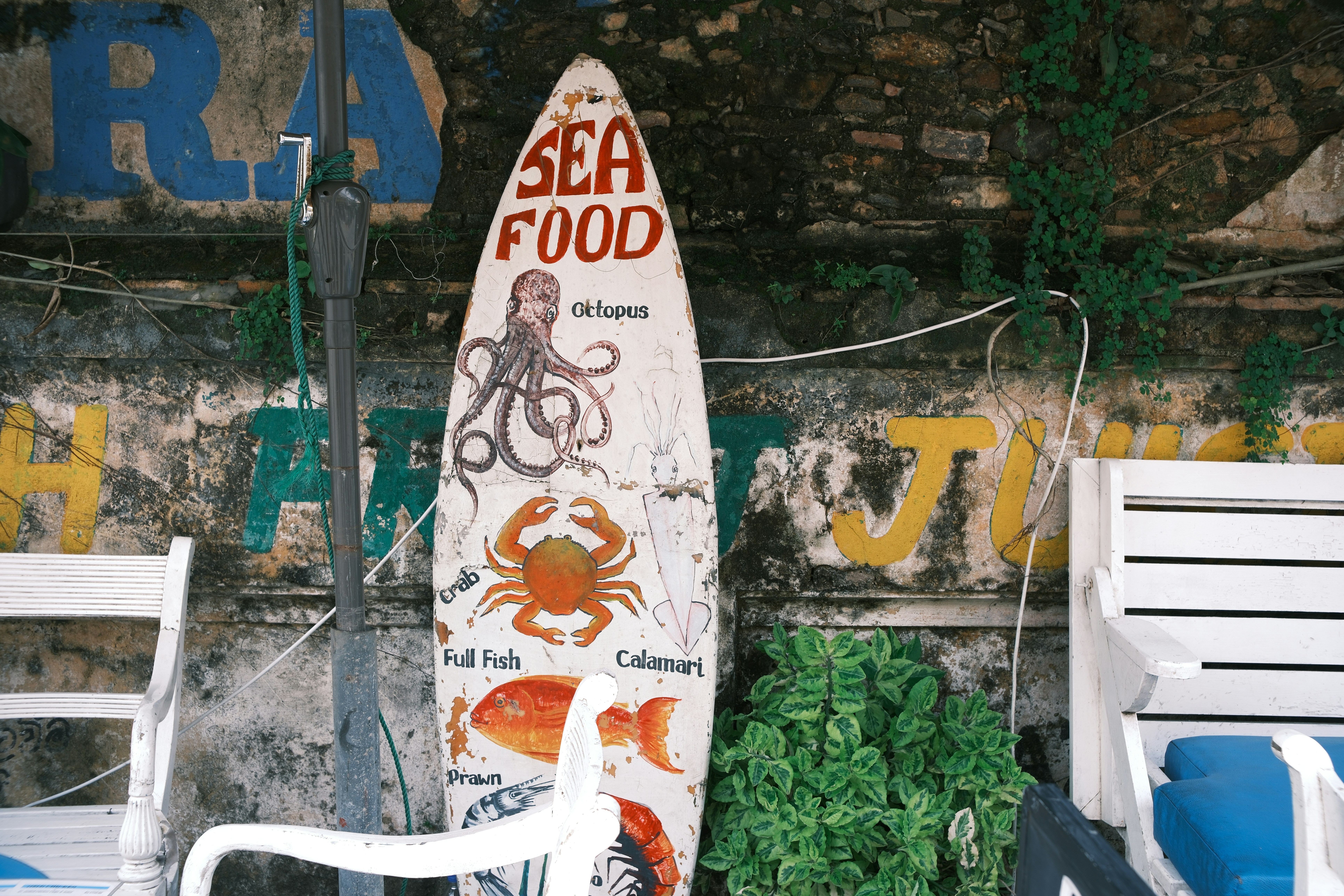 Surfboard Standstill: Sea Food And Coral Motifs Framed by Weathered Wall