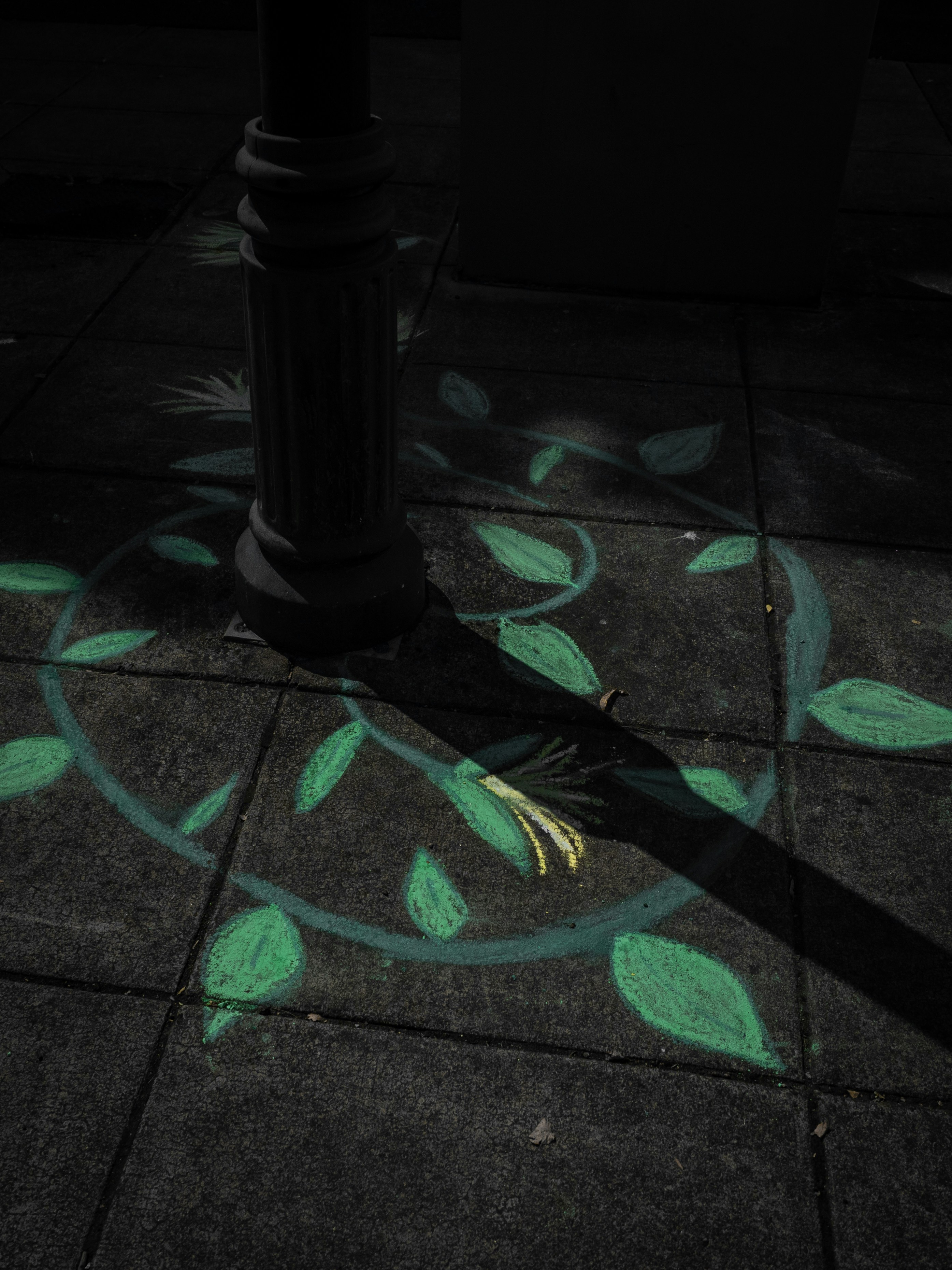 Moonlit Ivy: A Painted Shadow on the Pavement