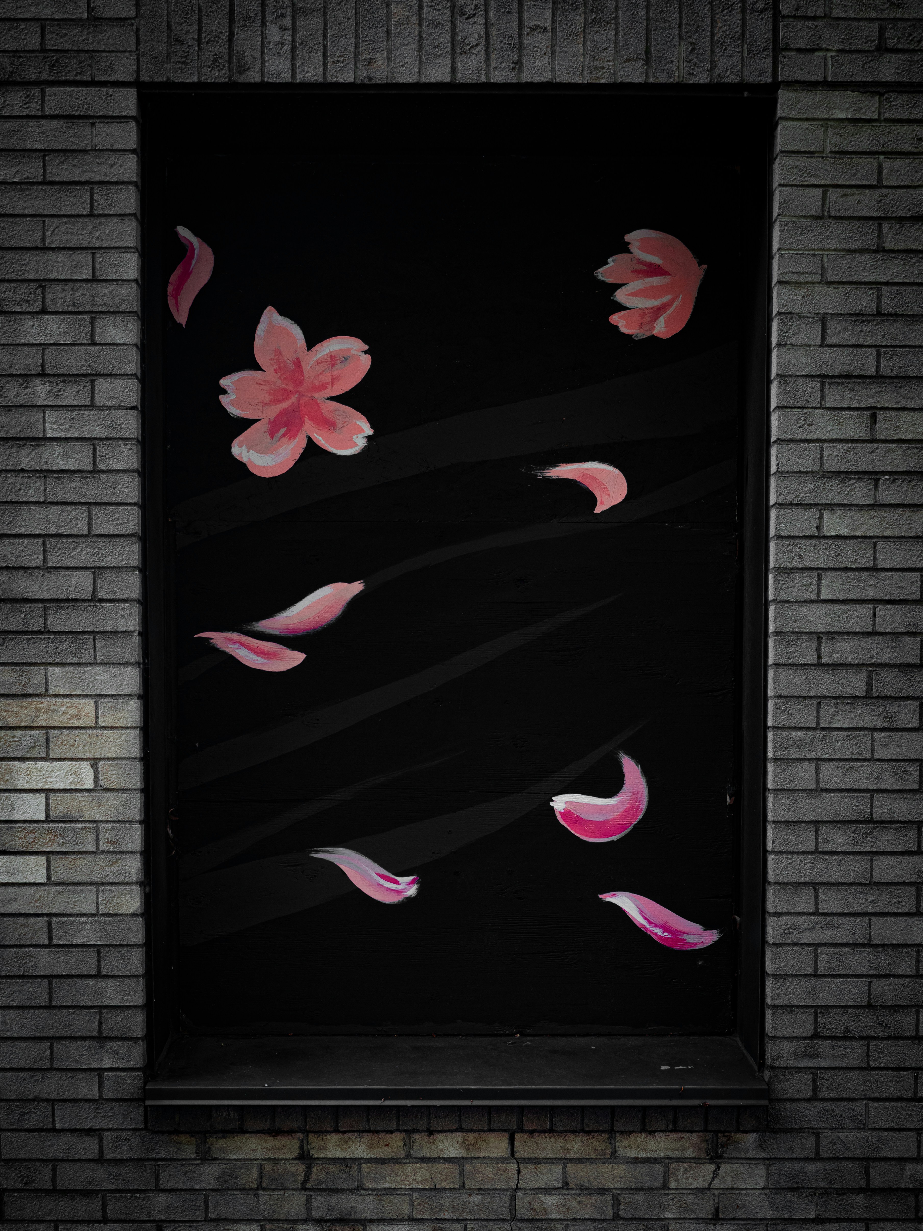Petals on a Midnight Door