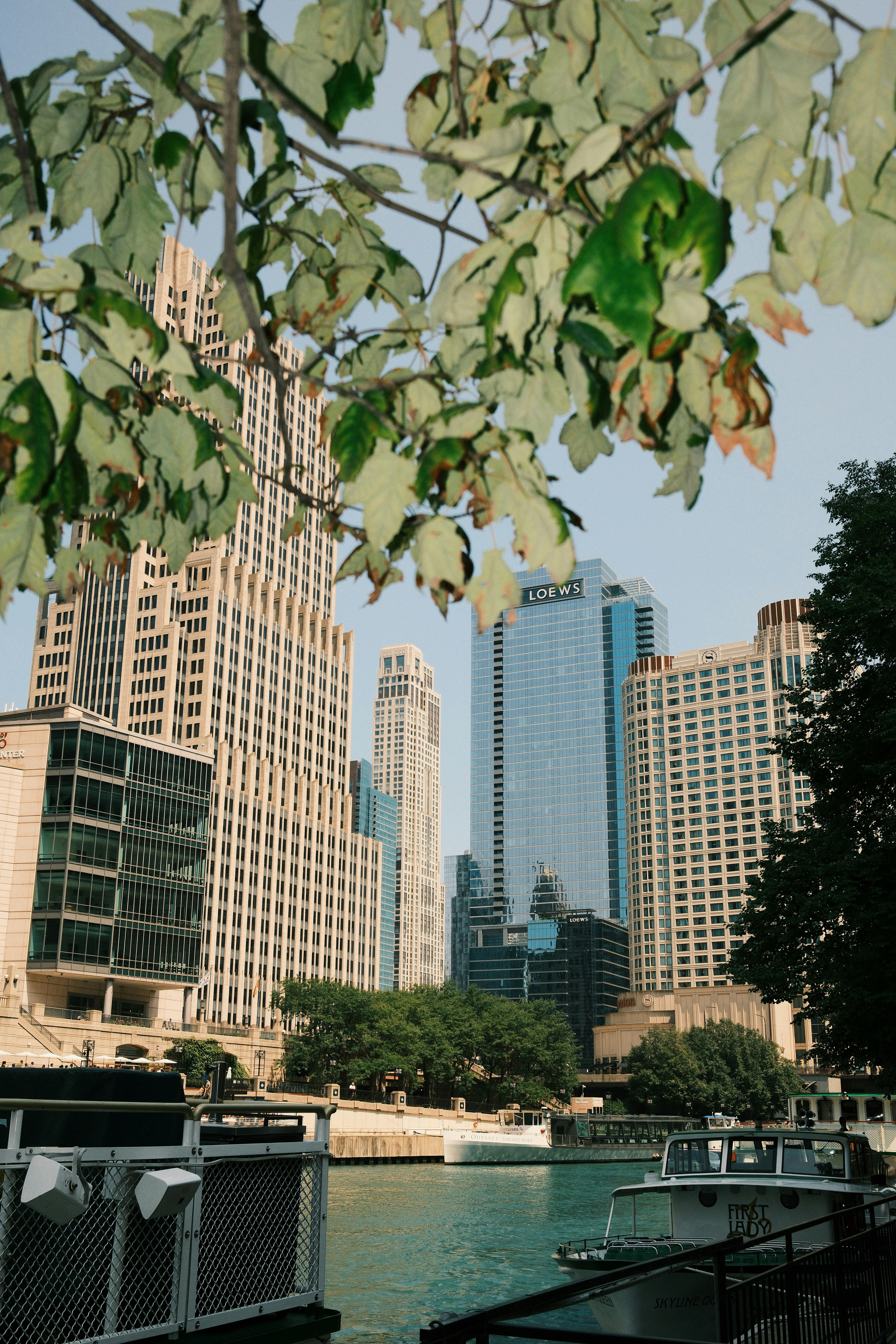 Urban Canal Overlook: City Towers Framed by Green Canopy