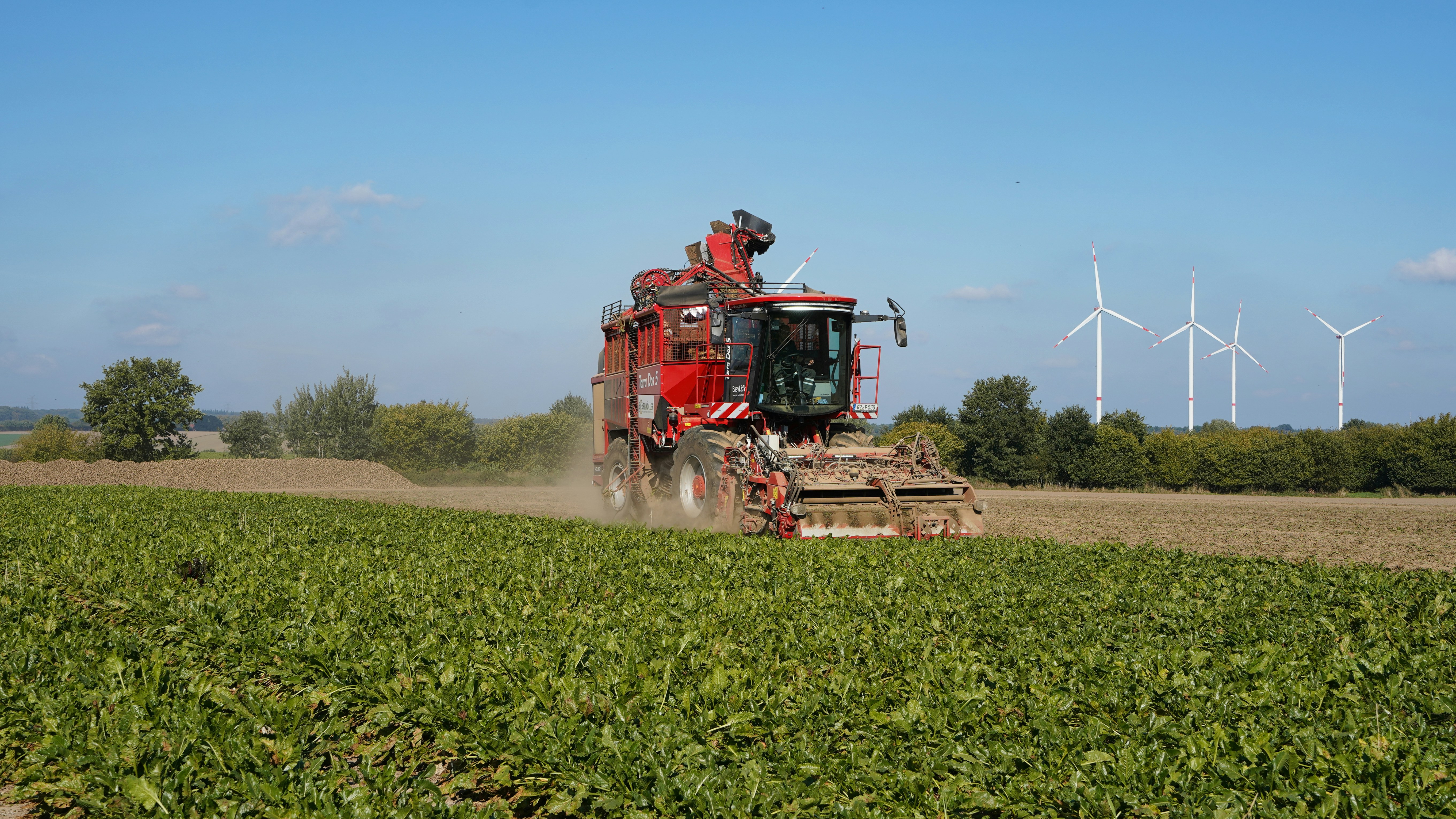 Harvest in the Wind: Red Harvester Traverses a Green Field Under a Wide Sky