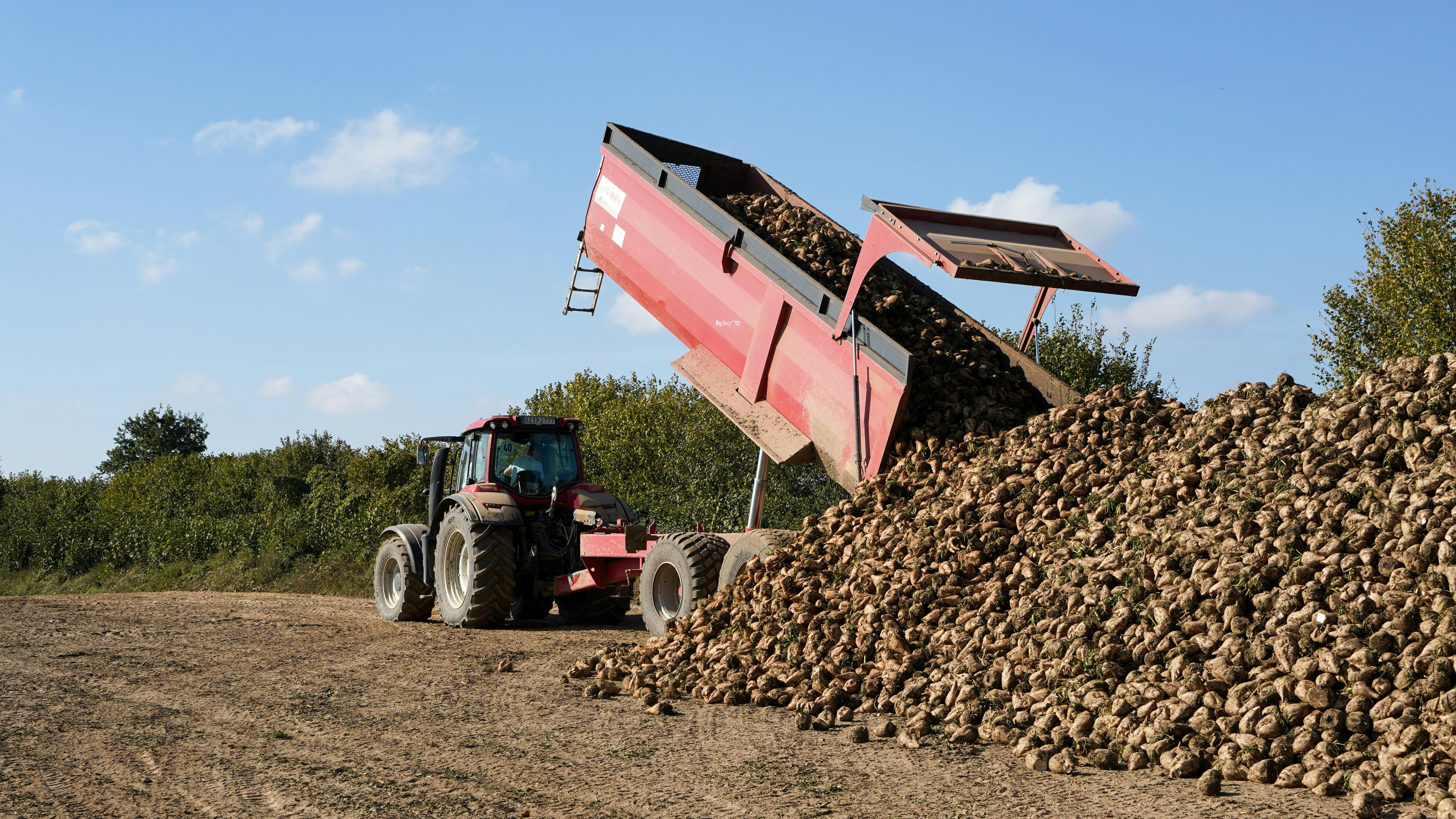 Heap Rising: The Red Dump Truck Elevates a Mountain of Rubble