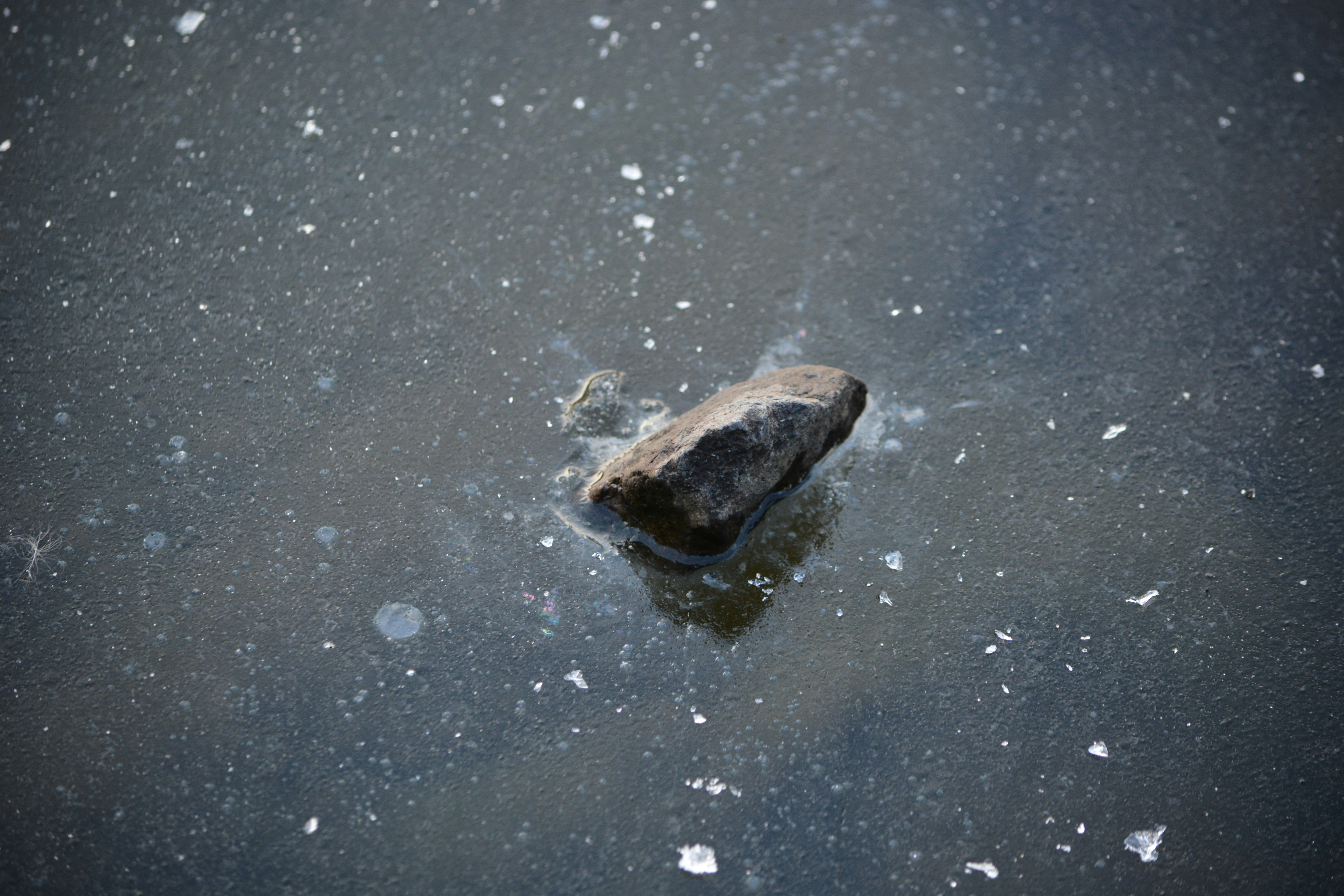 Alone Stone in a Quiet Pool