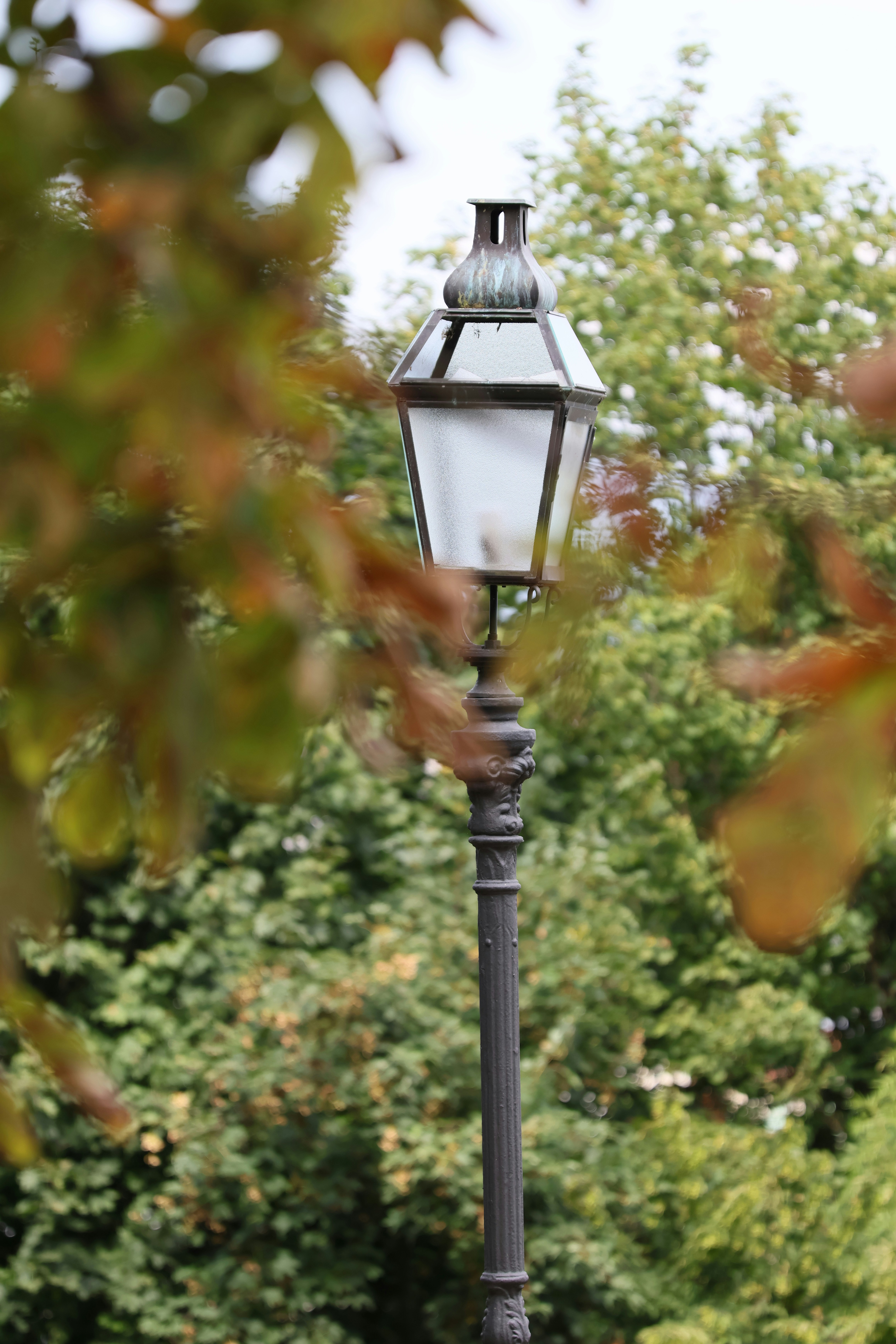 Lamp Post in Soft Focus Garden Glow