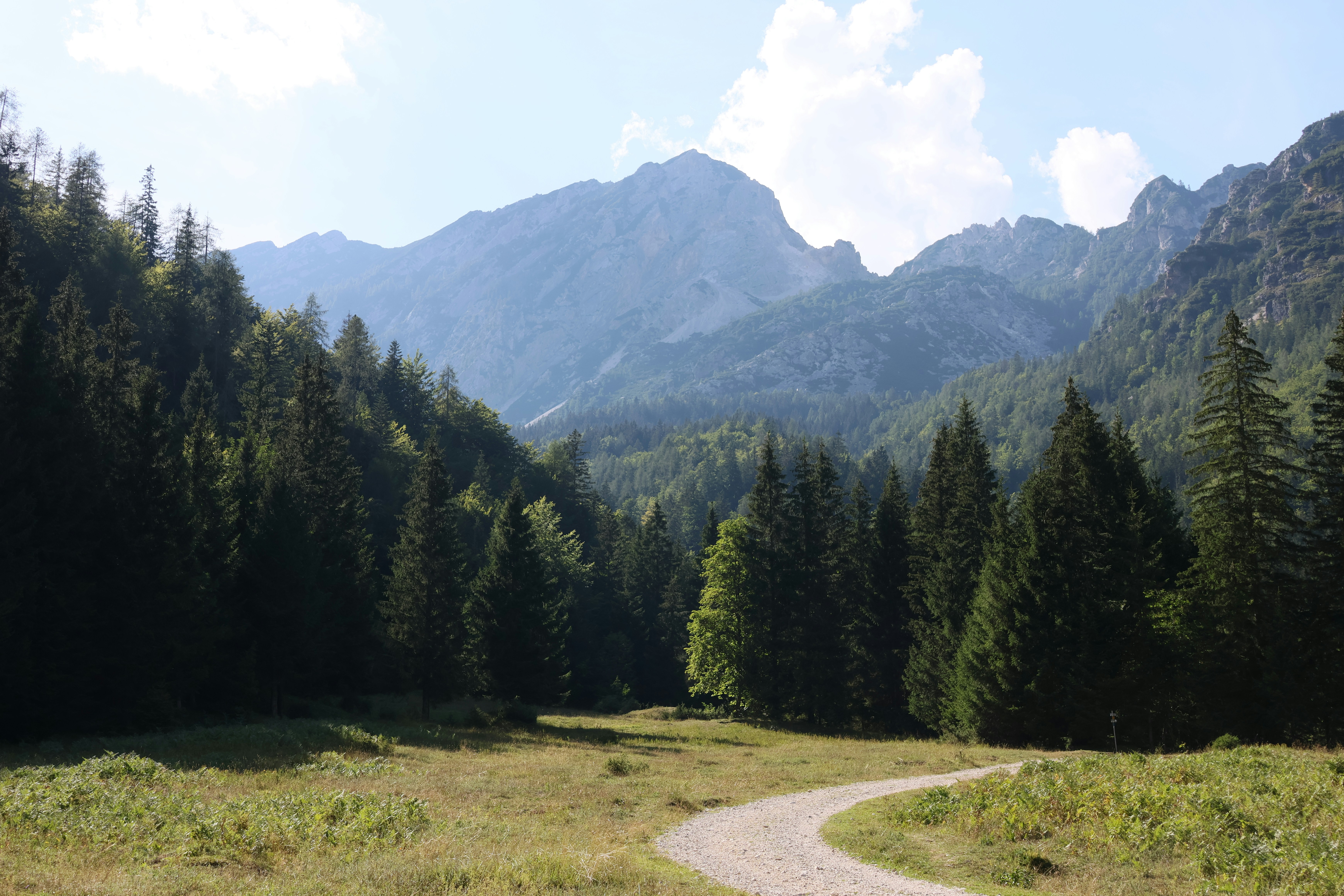 Mountain Crest at the Edge of the Meadow