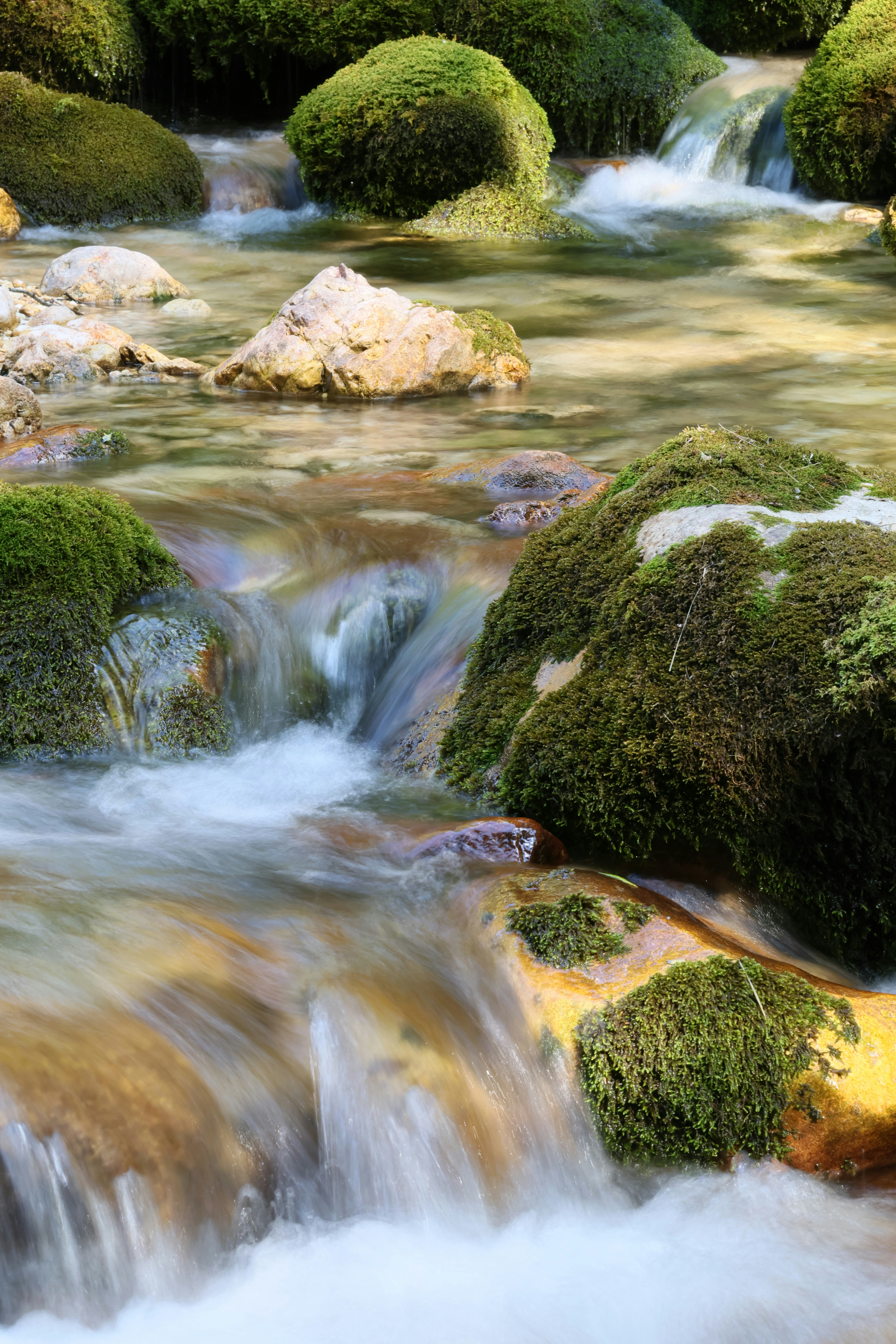 Moss-Cilled Cascade: A Quiet Stream Woven Through Stones