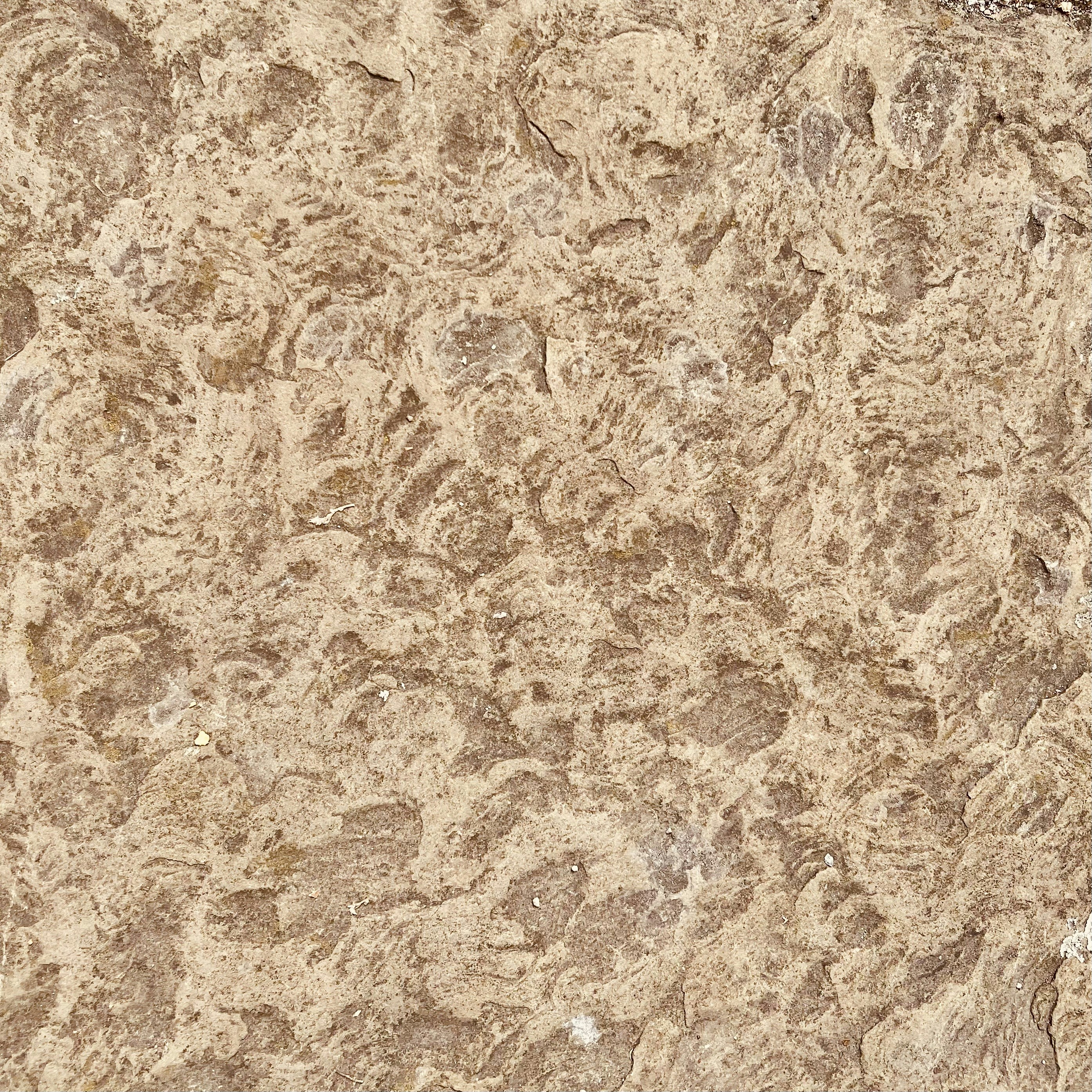 Close-up of a sandy, cobbled rock surface revealing intricate mineral textures and natural patterns.