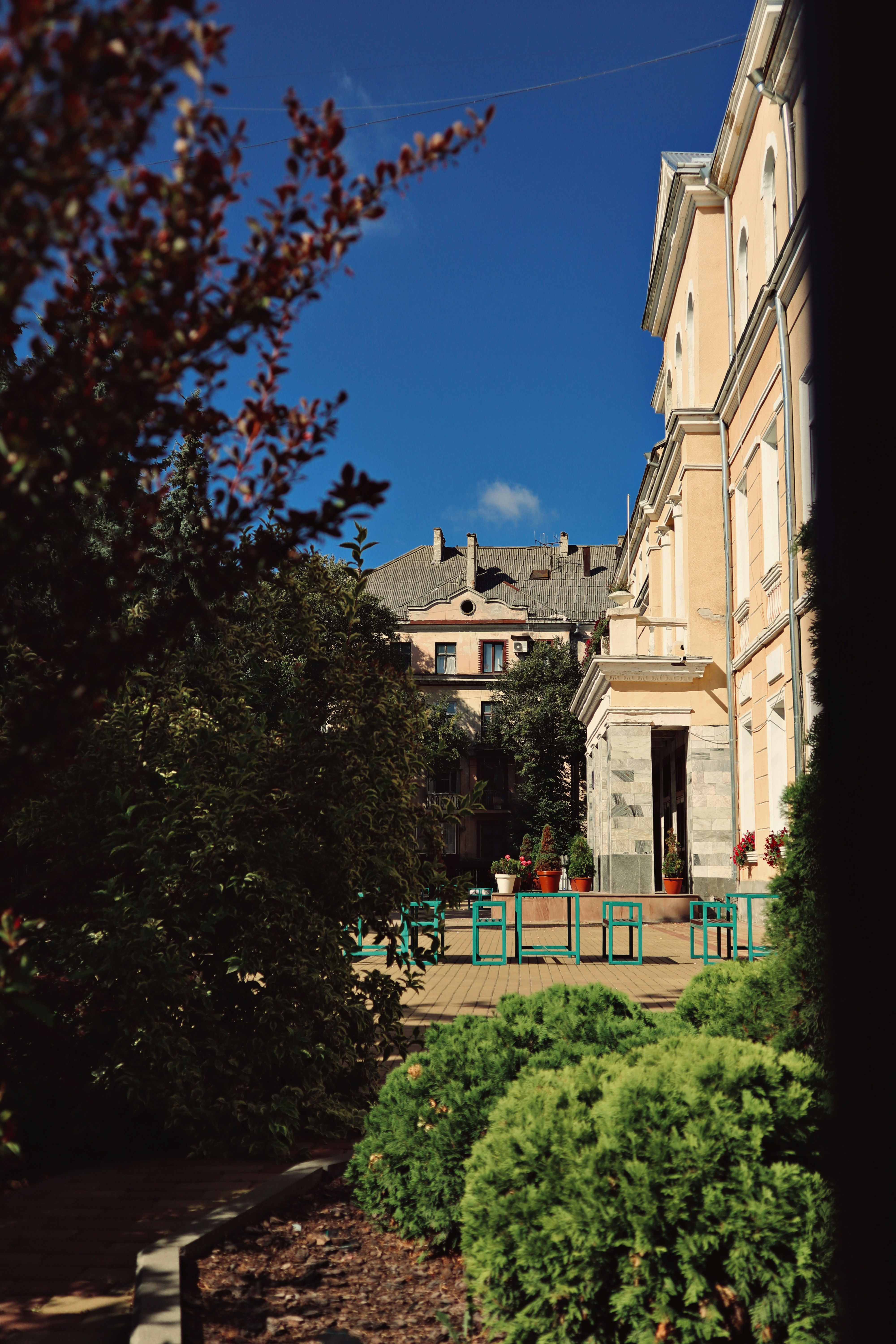 Sunlit Courtyard with Verdant Border and Historic Facade