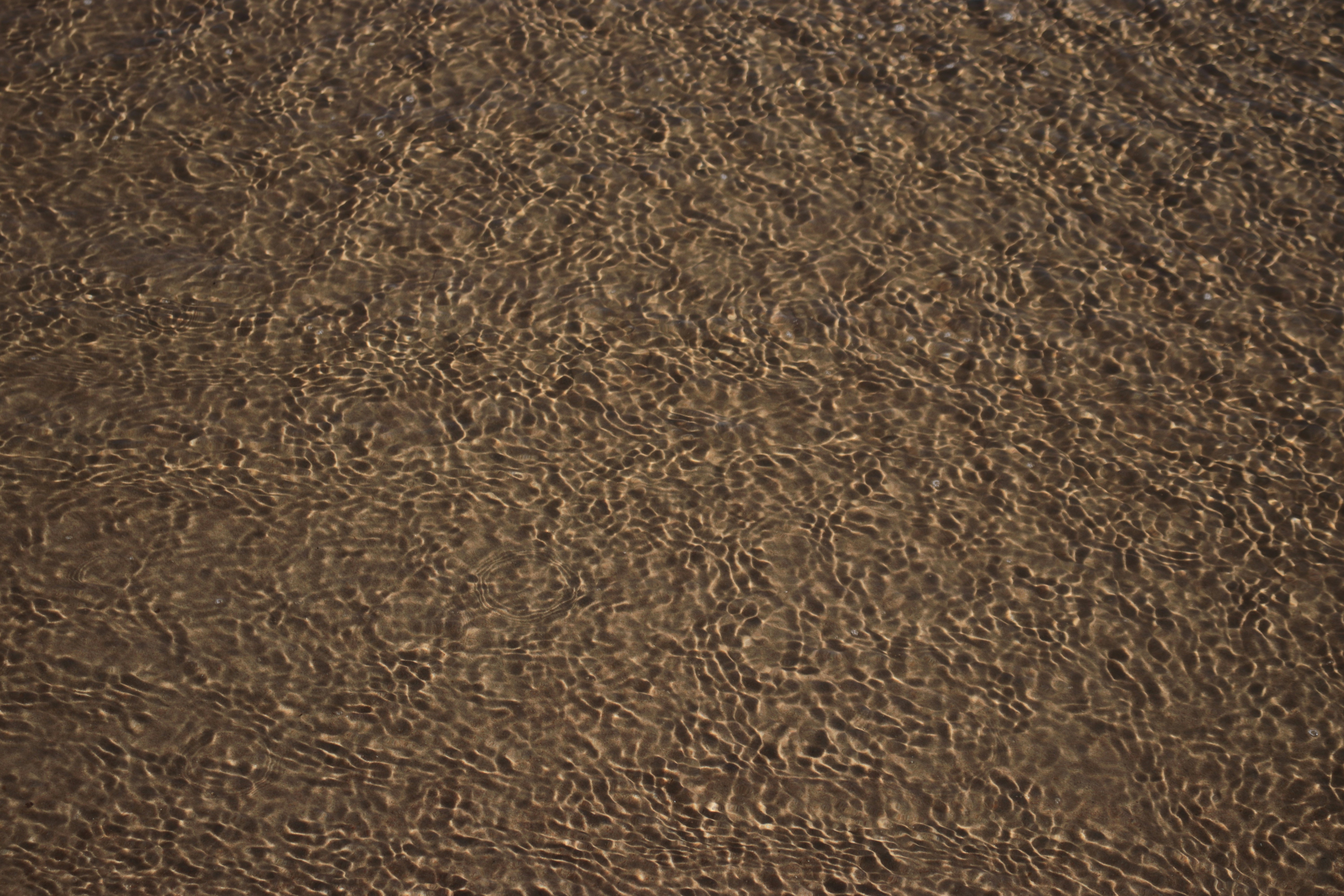 Terrain of Carved Brown: A Close-Up of Rippled Leather-like Surface