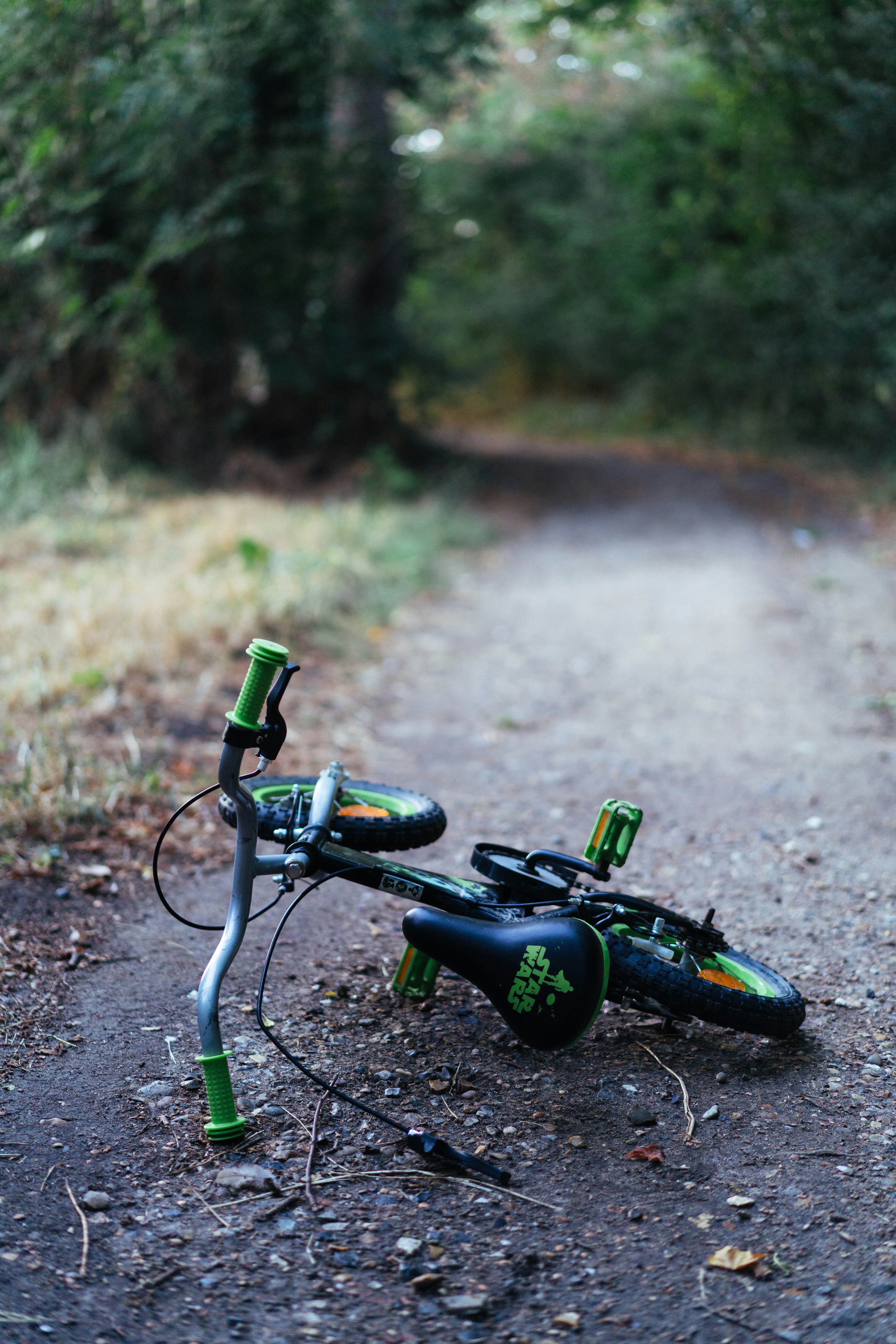 Collapsed Trail: A Deflated Ride in the Forest