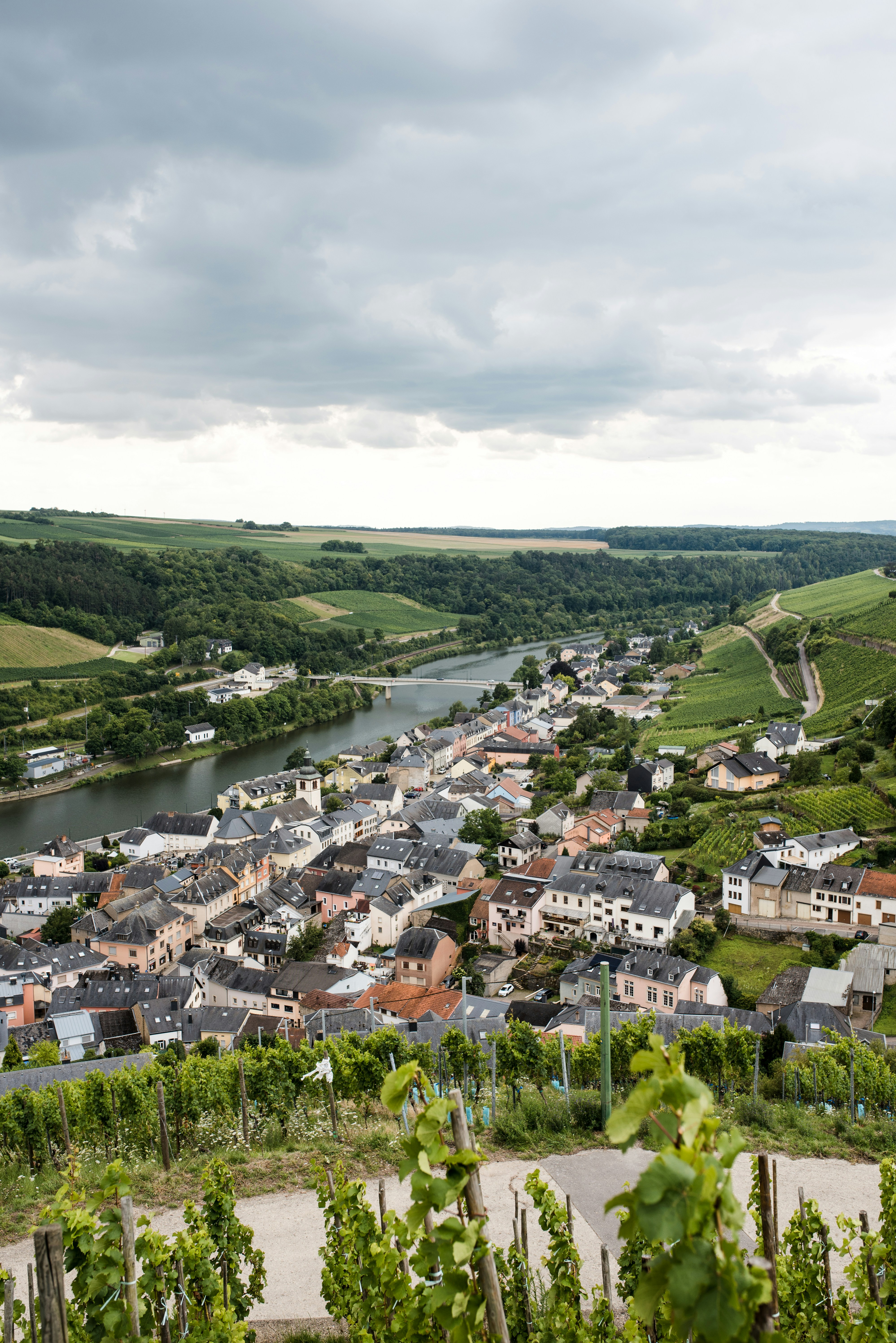 Vineyard Overlook: A Village W lean Through the River Bend