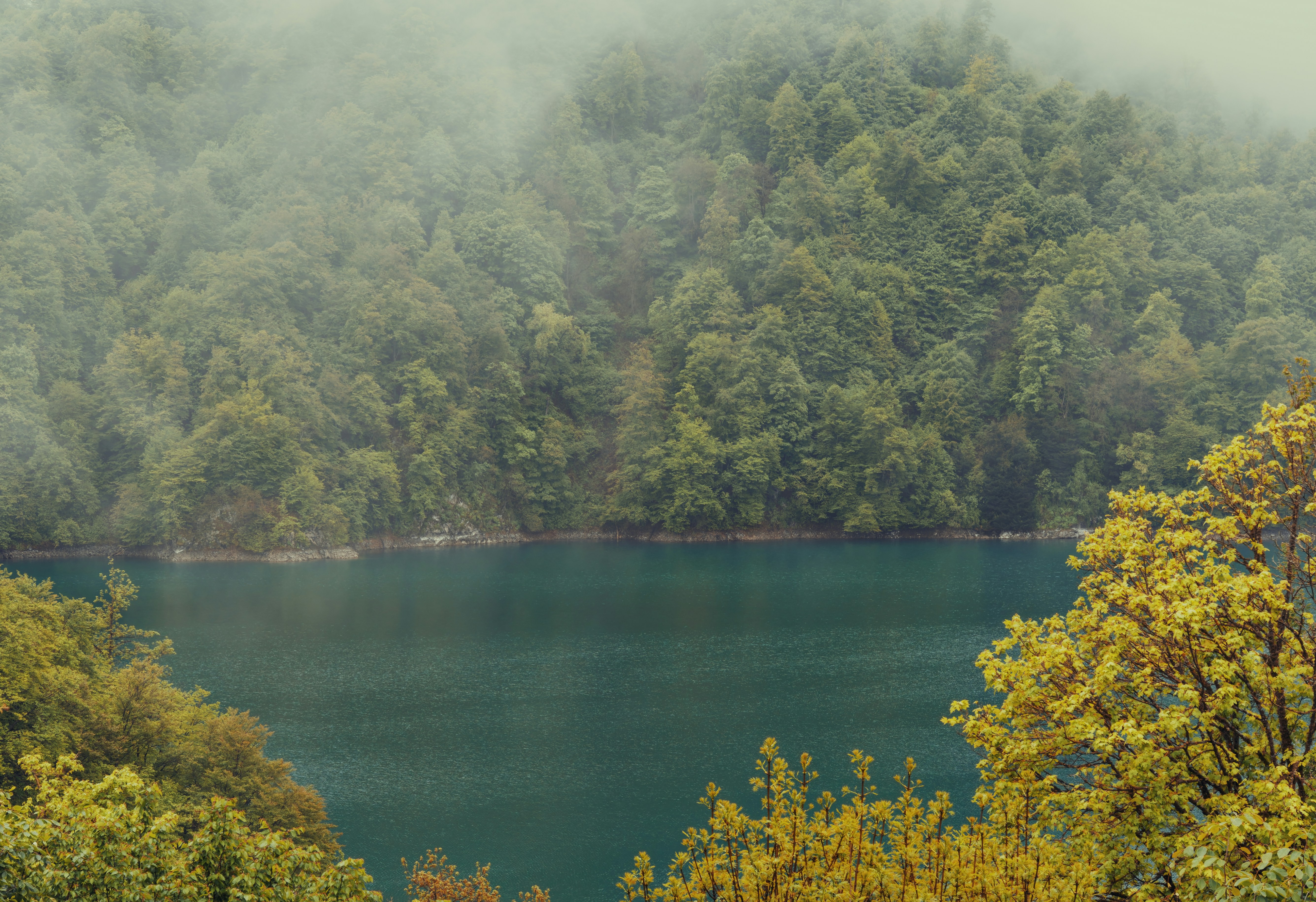 Mist-softened forest lines a tranquil emerald lake, with golden autumn leaves in the foreground and hills fading into fog in the background.