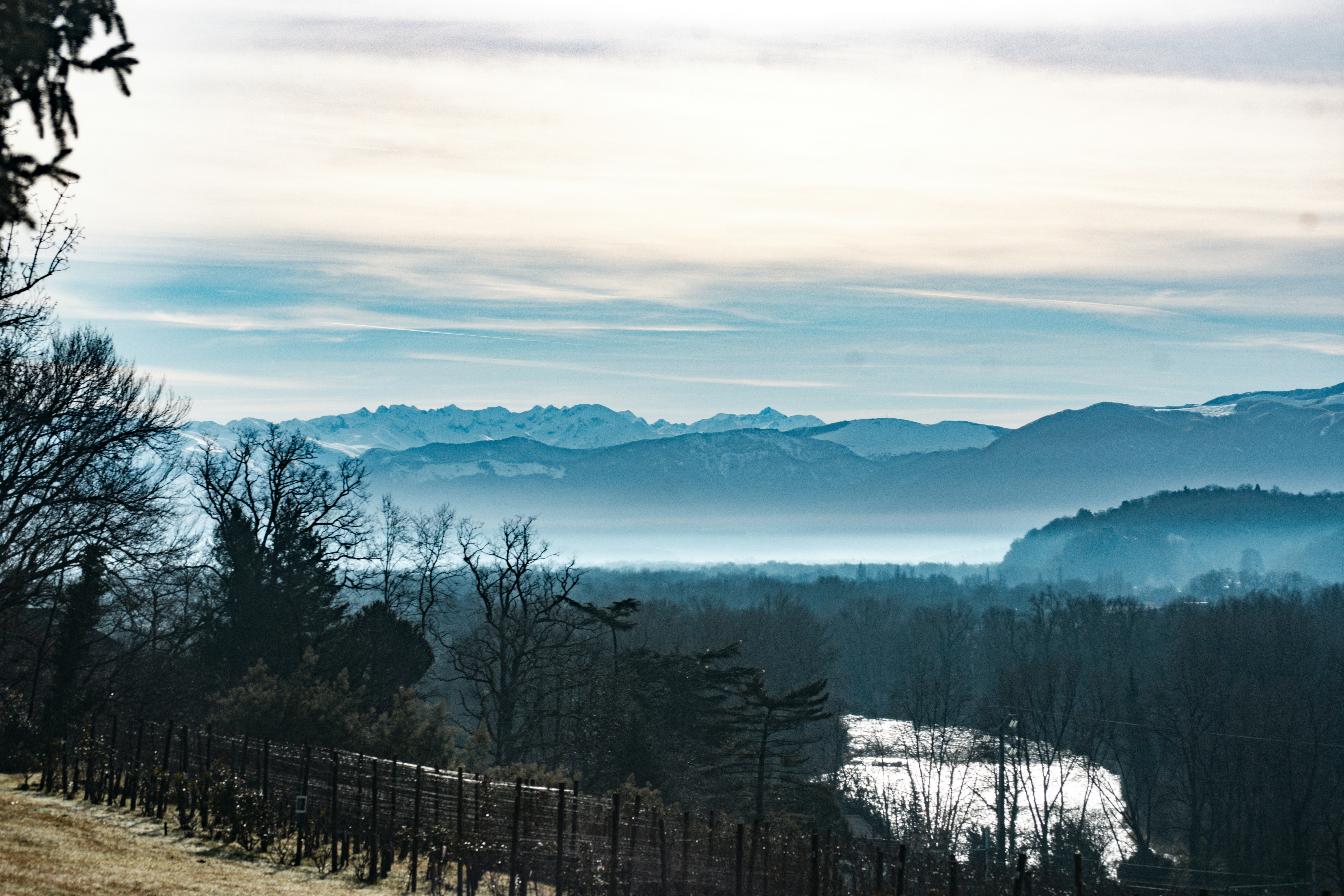 Valley Mist Over Dormant Pines and Distant Snowfront