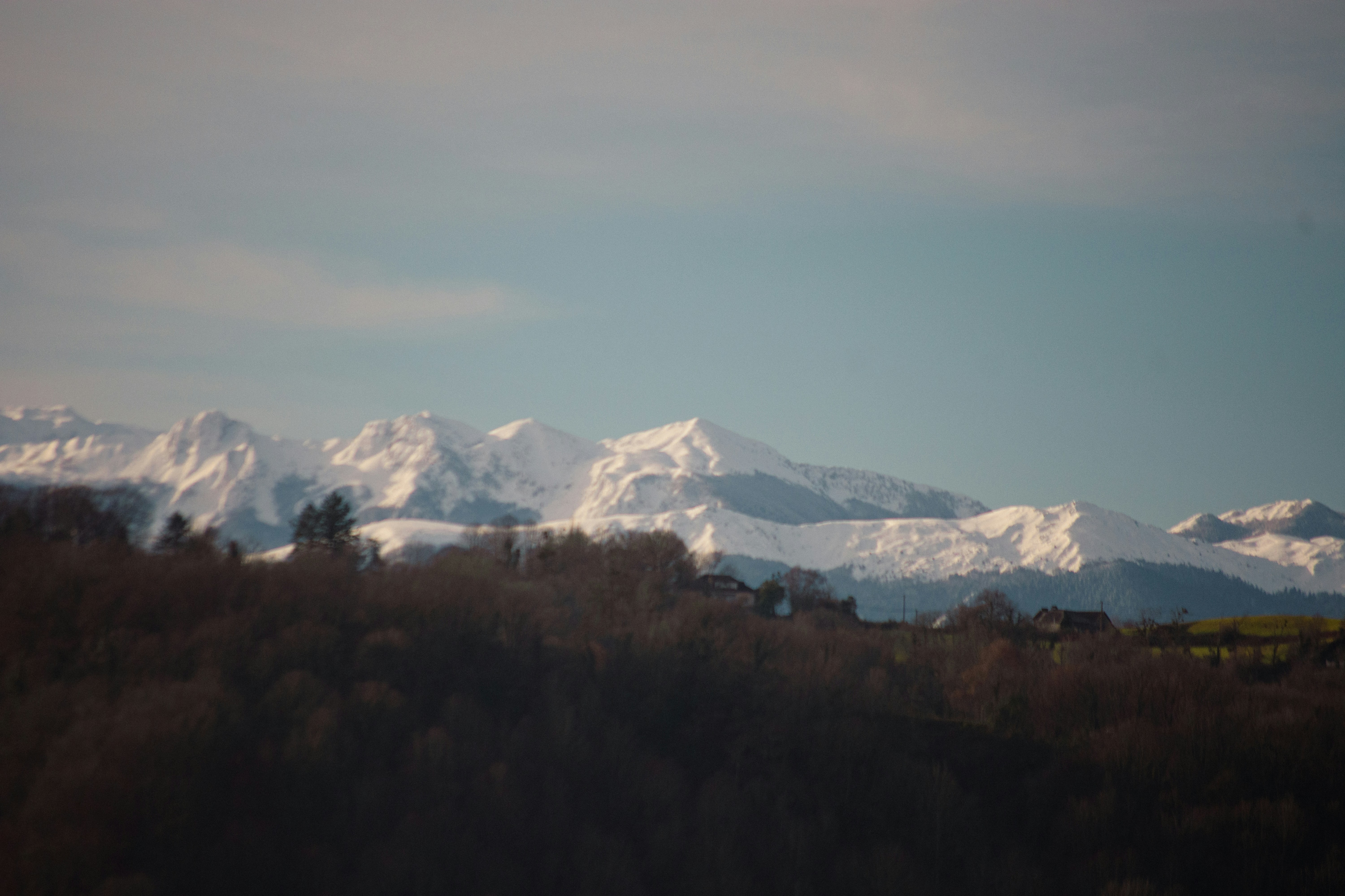 Snow-capped mountains rise behind a dark, wooded foothill under a pale blue sky. A distant horizon line anchors a tranquil landscape; the scene is presented as a serene, widescreen view.