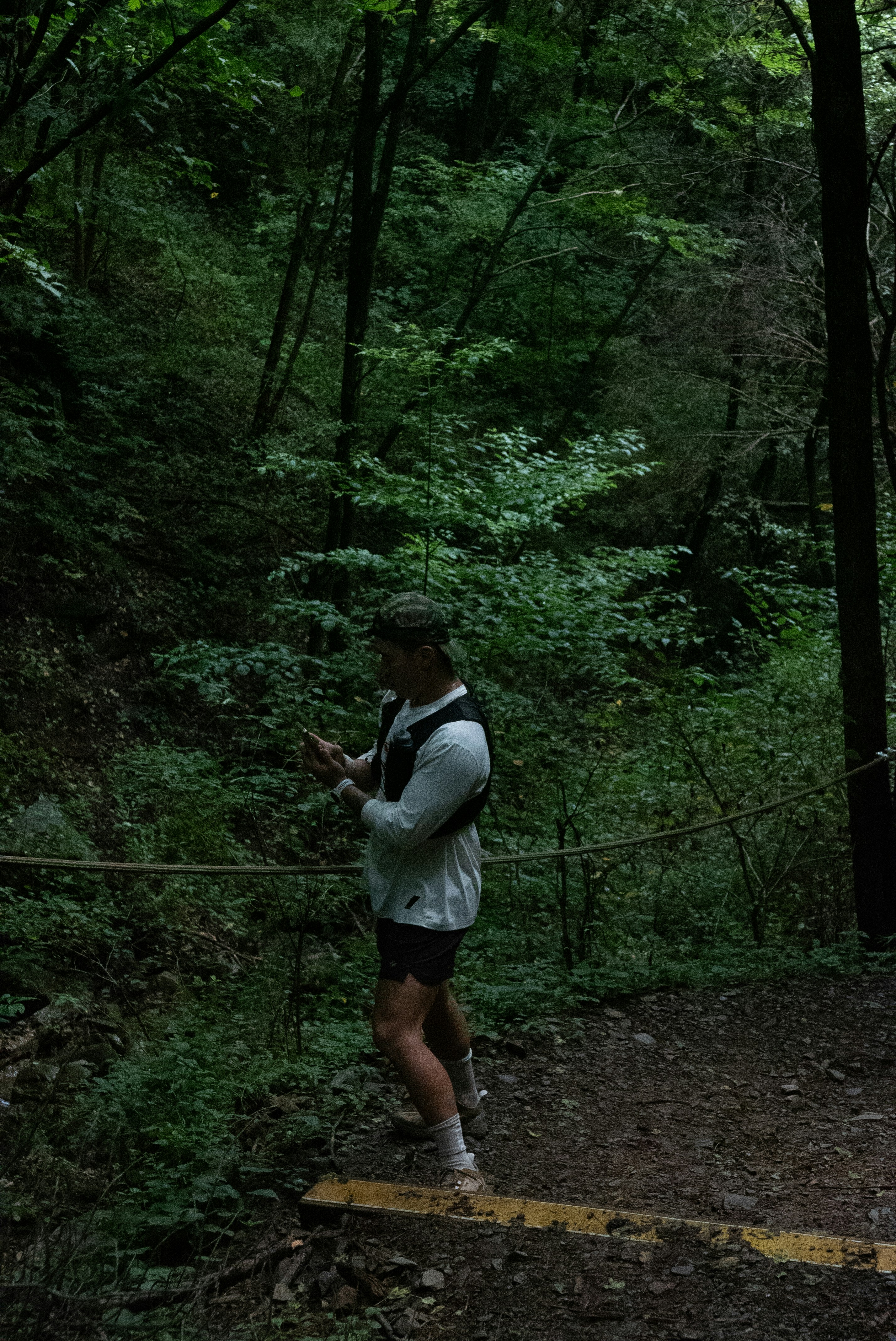 Trail Runner in a Quiet Forest