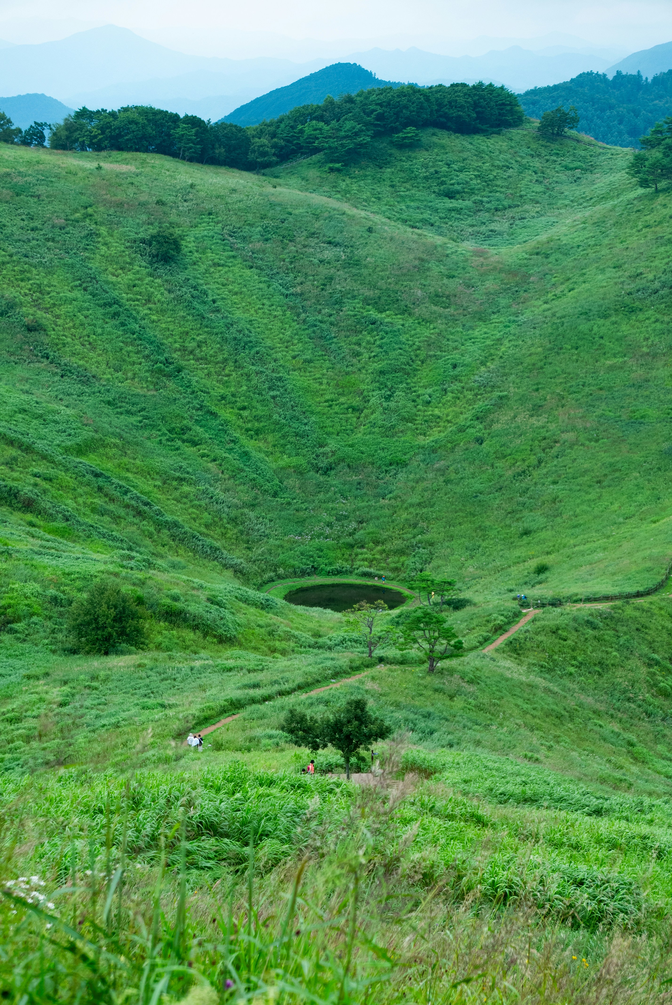 Emerald Basin: A Green Valley Carved by Gentle Hills