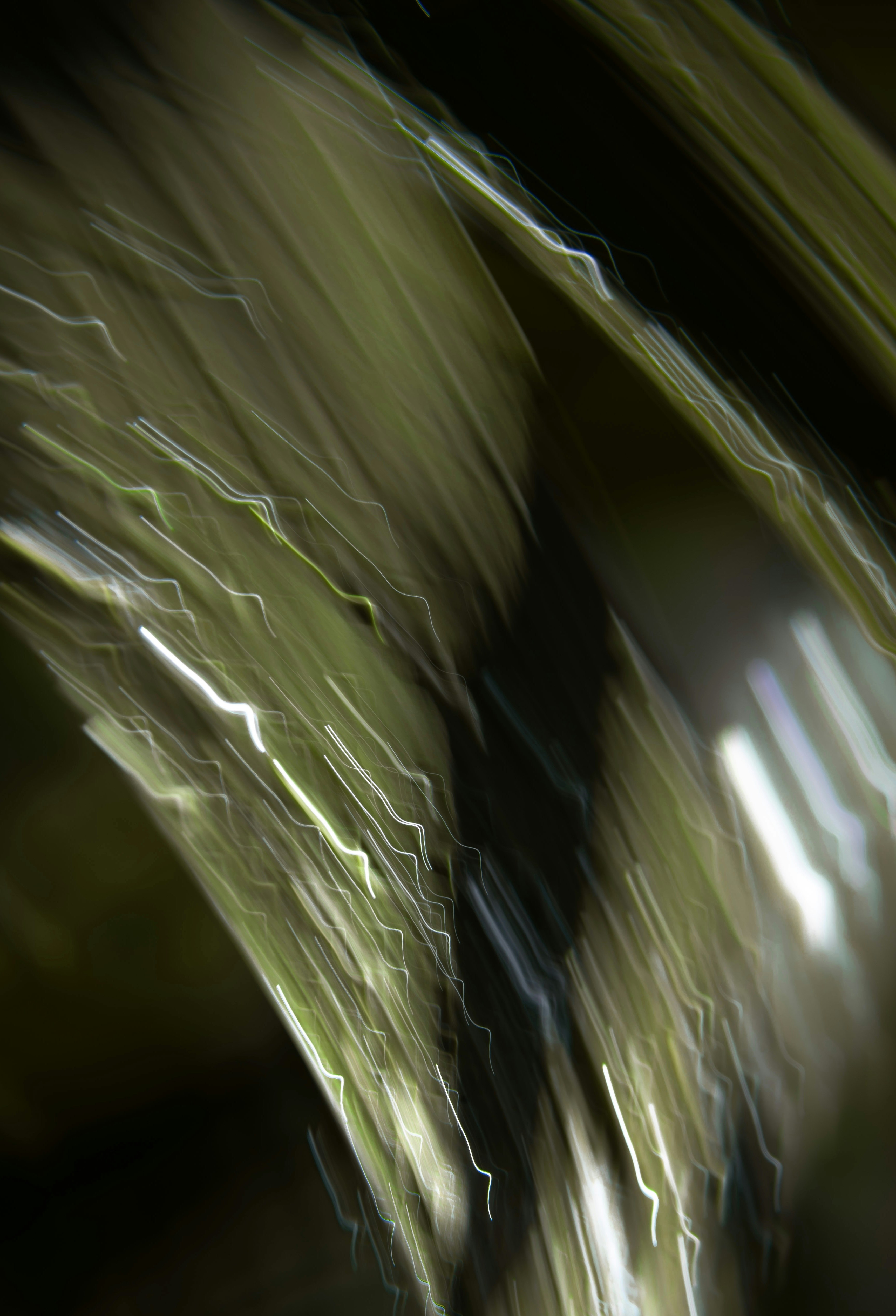 Twisted Light Trails in a Night Corridor