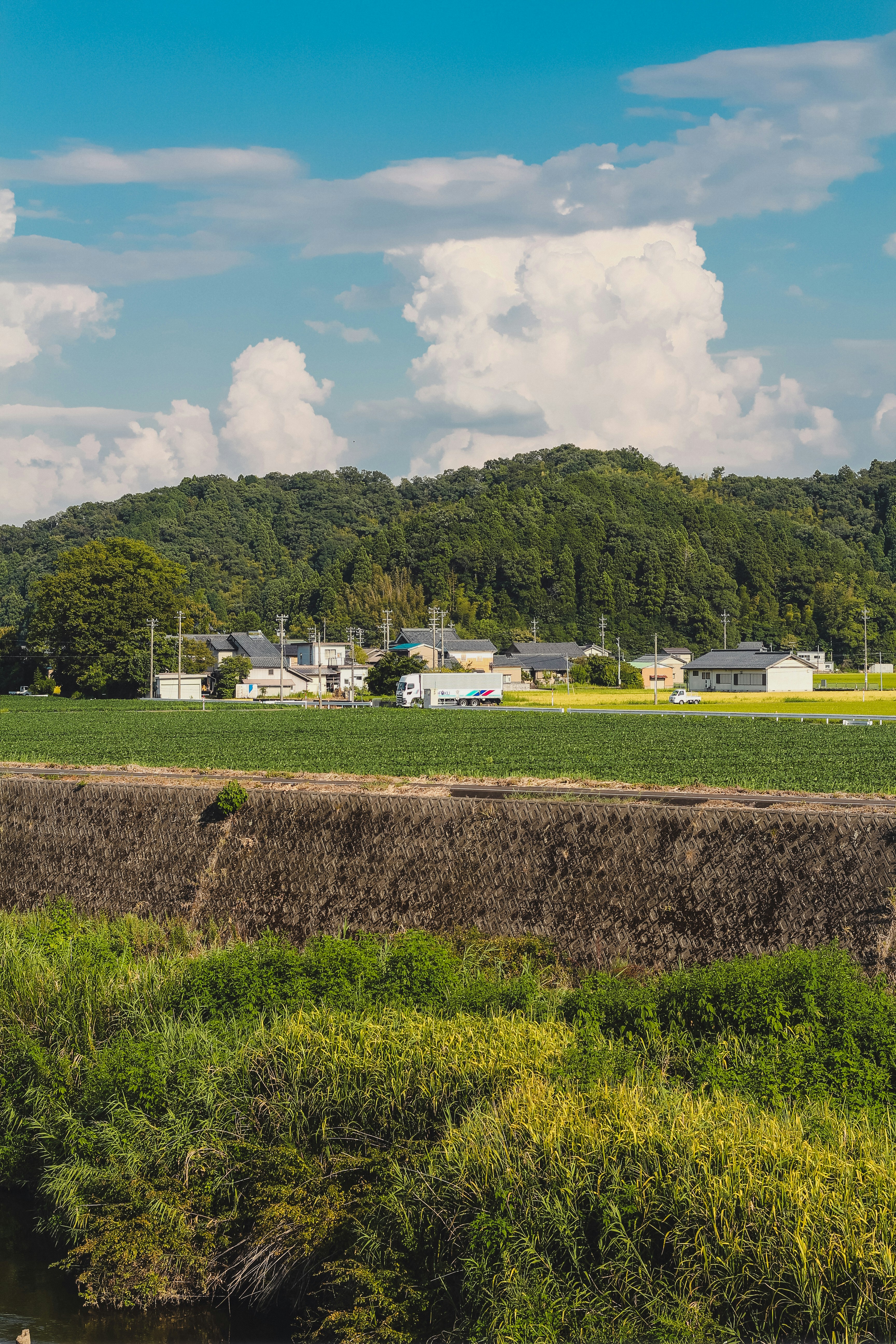 Line of cottages resting at the foot of a gentle hill