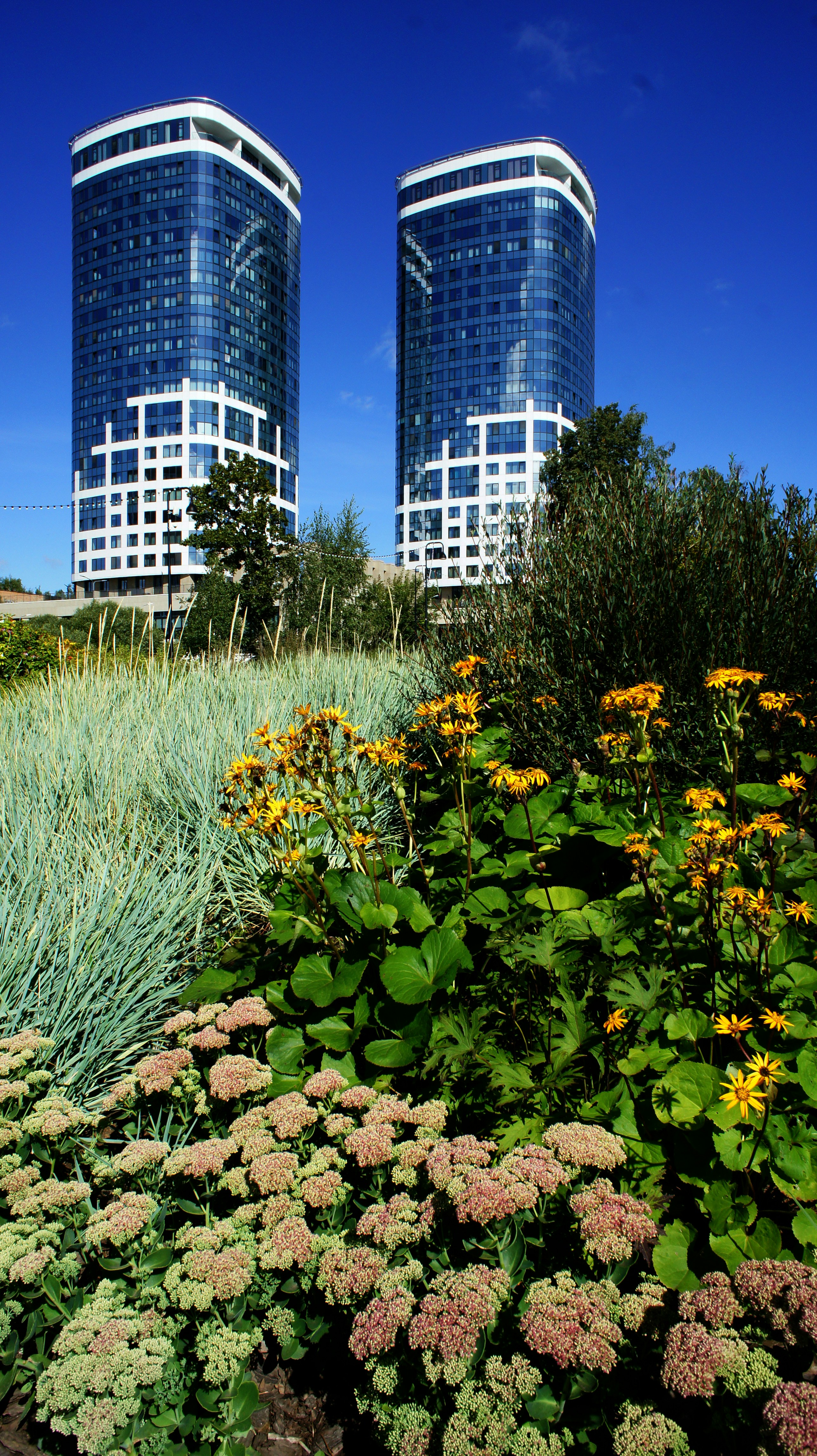 Twin Glass Towers Rise Above a Blooming Urban Garden
