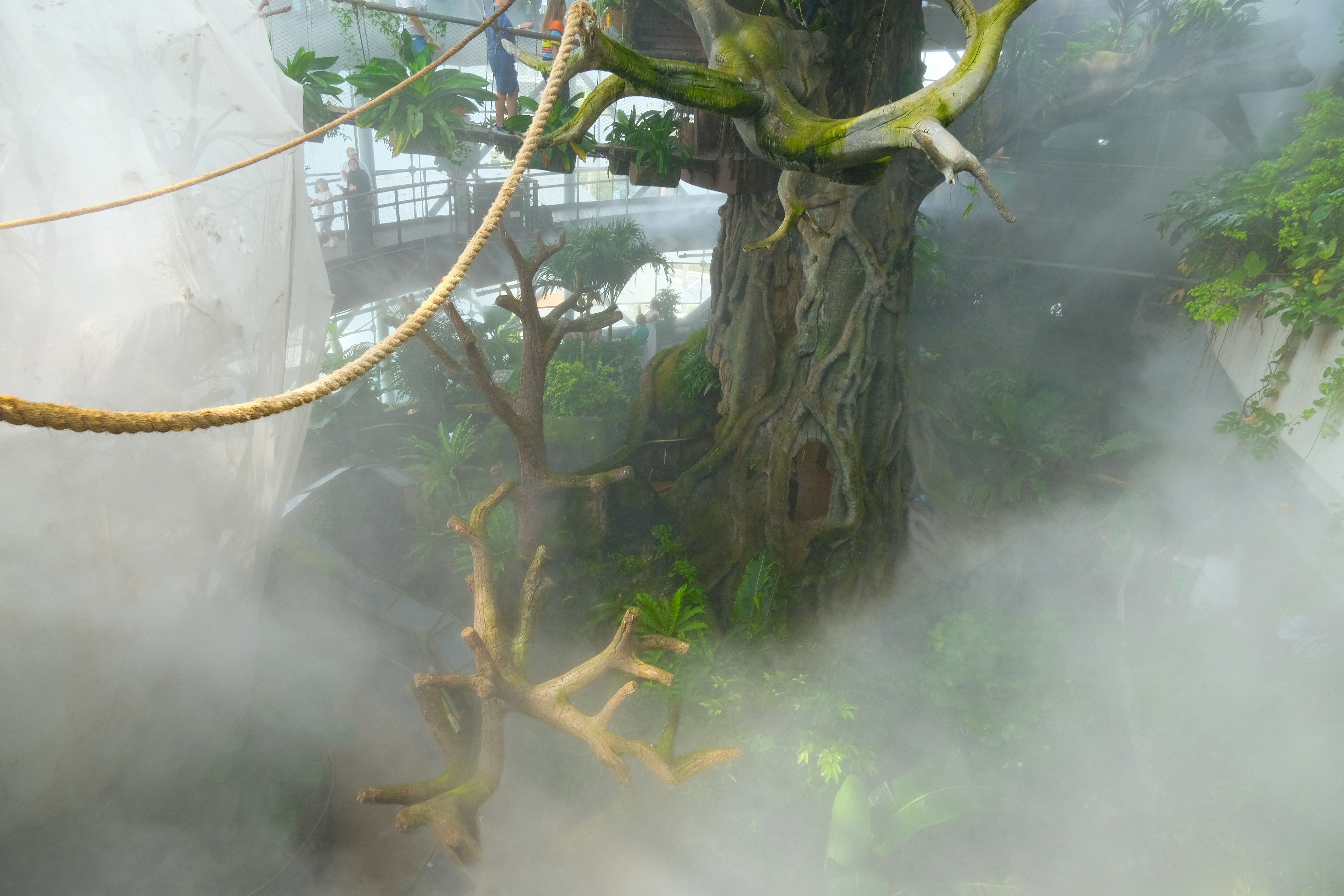 Mist-Laced Grove: A Sentinel Tree Emerges from the Fog
