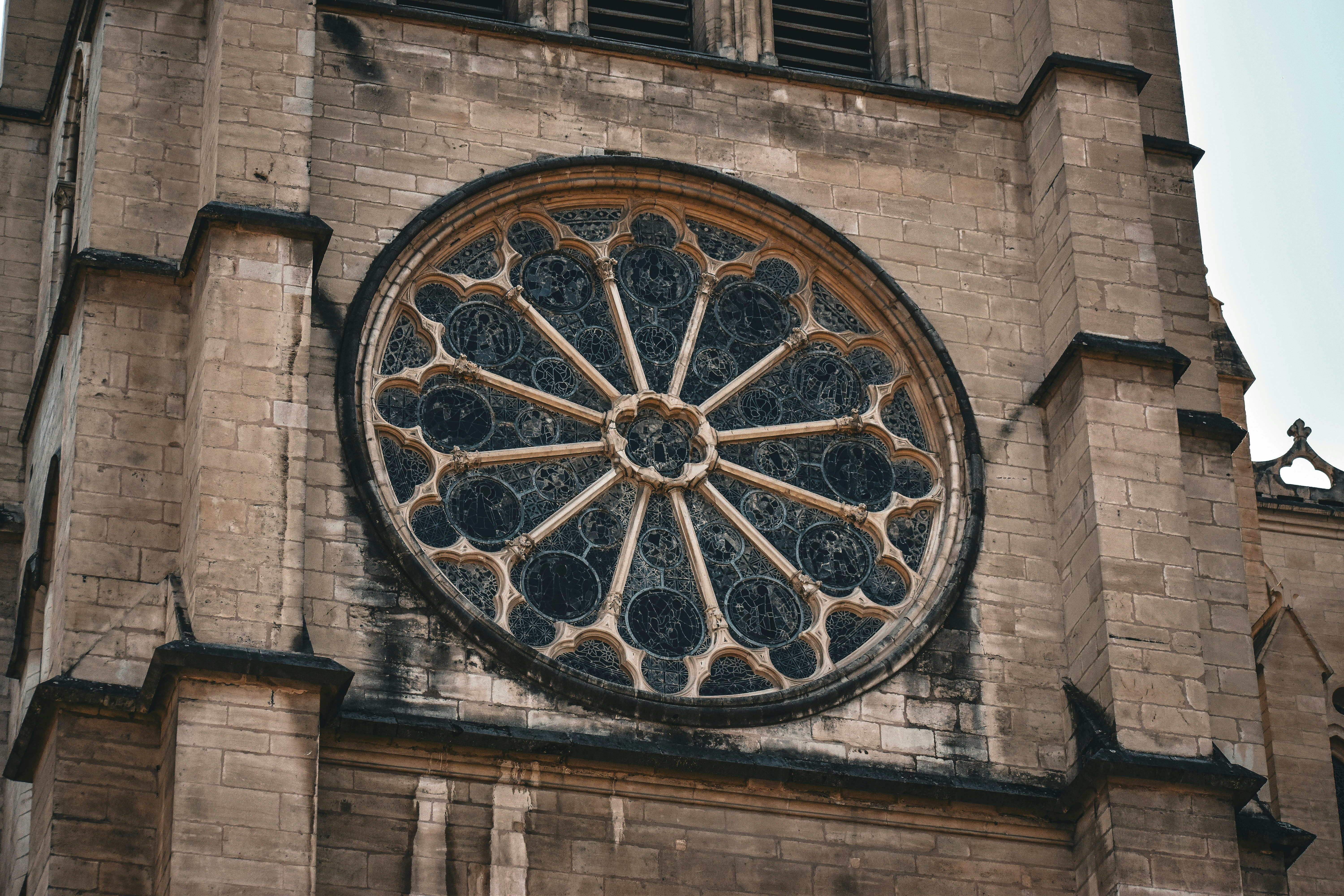 Rosette of Stone: A Cathedral's Circular Gaze