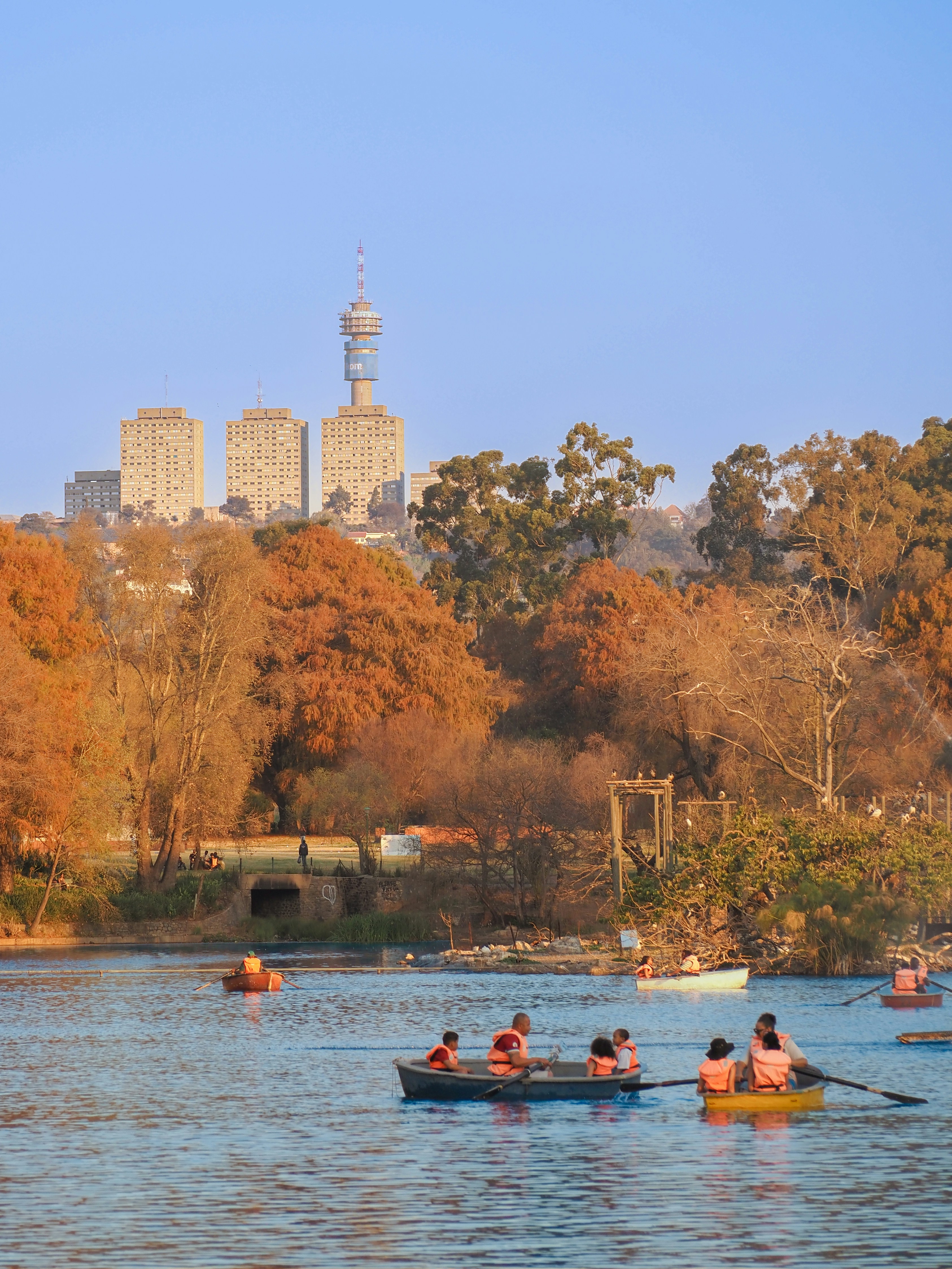 Autumn-colored trees line a calm lake with three groups of rowboats and a distant city skyline under a clear blue sky.