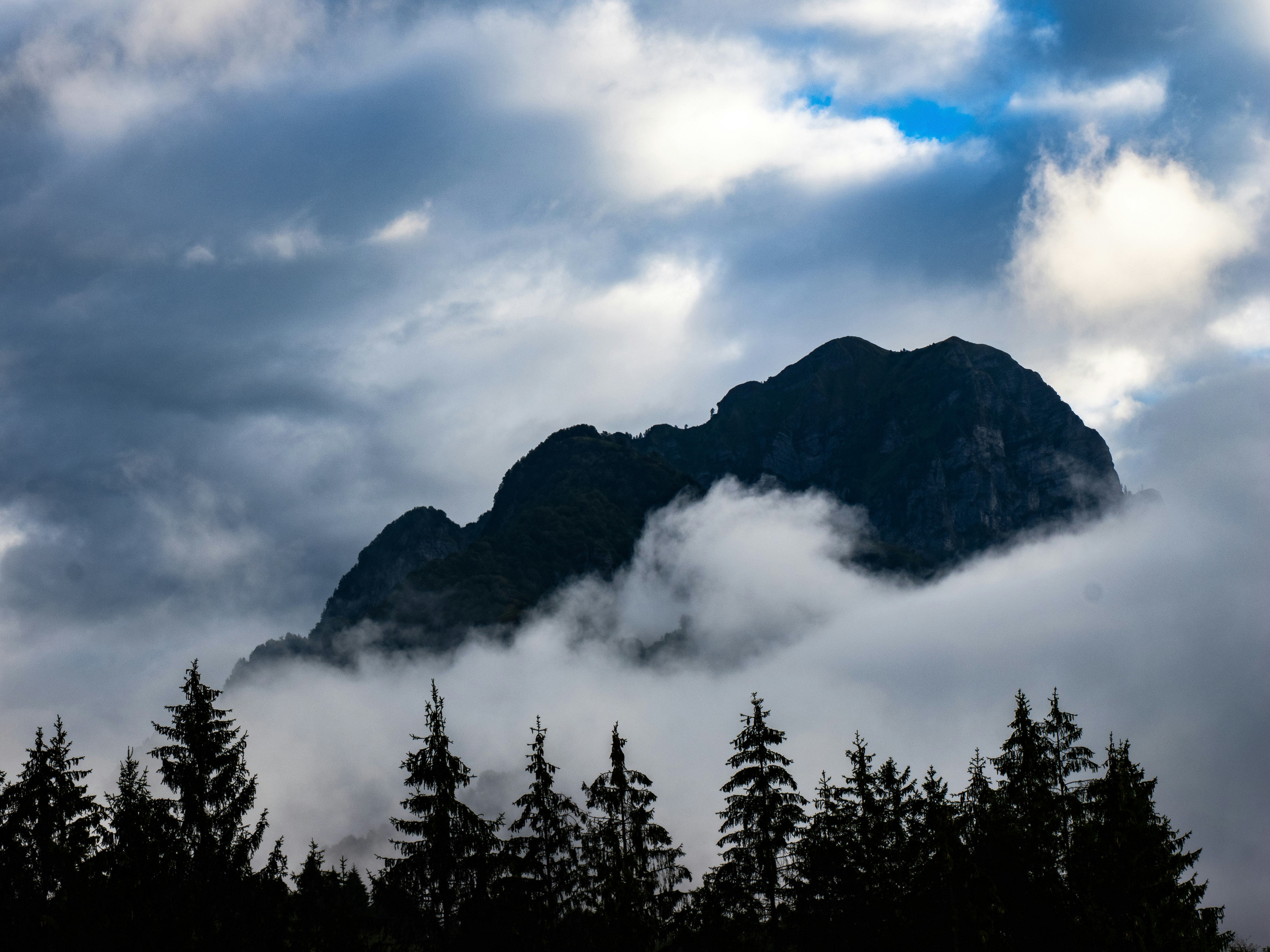 Mist-veiled Peak: Silhouette of Pines Beneath a Sky of drifting Clouds