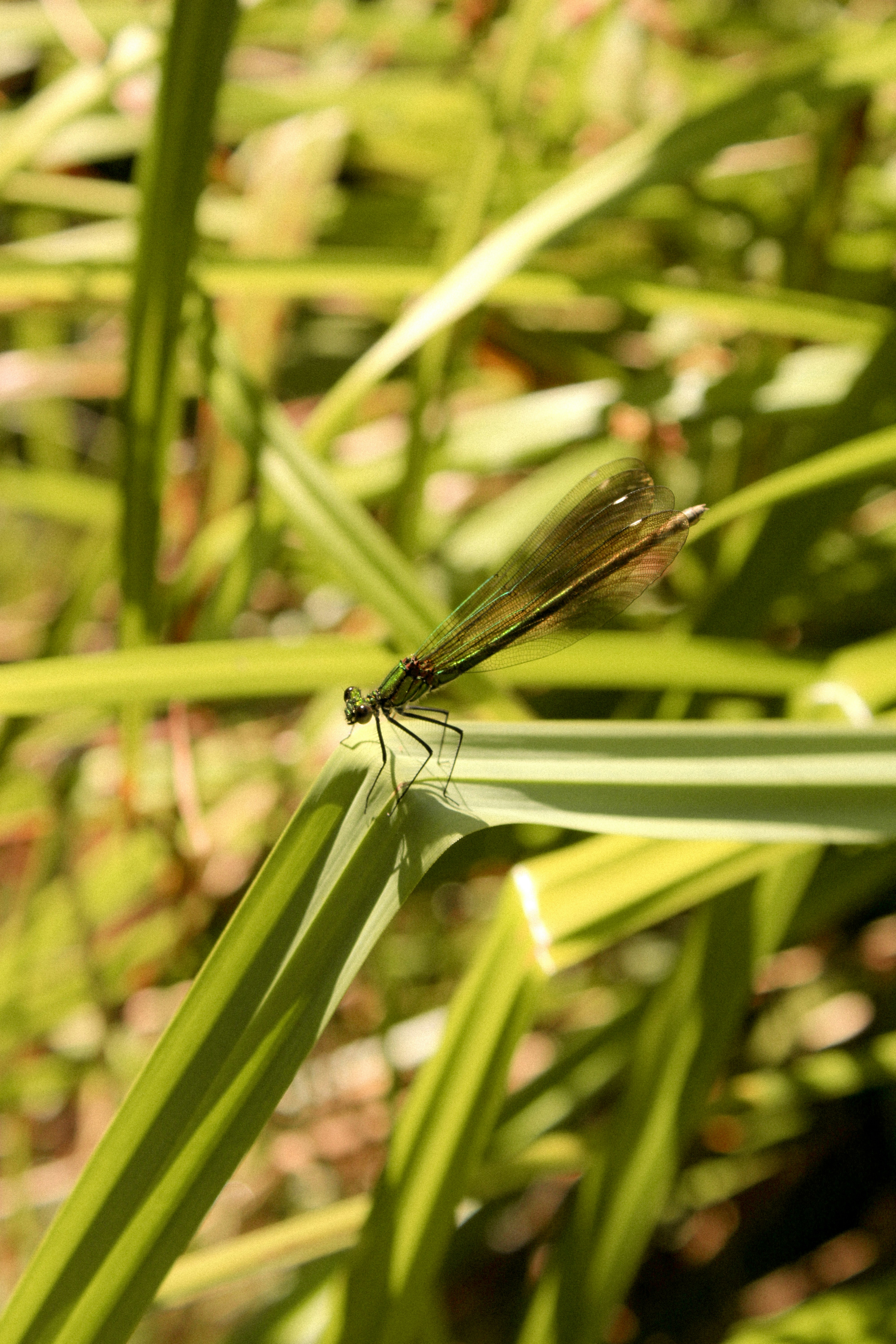 Photo by Eddie Le Marquand with Canon EOS 2000D