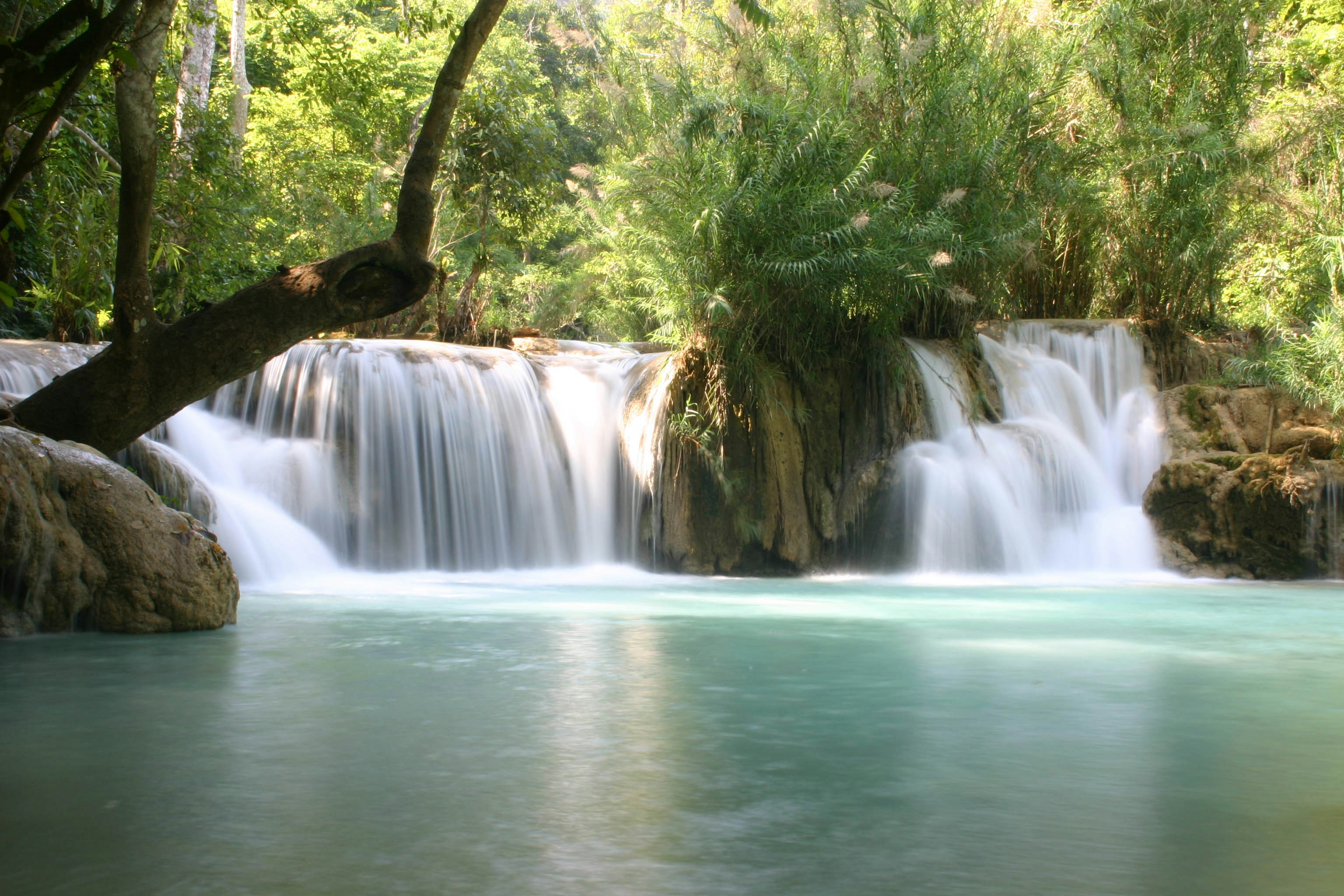 Whispering Falls: A Gentle Cascade in Green Light