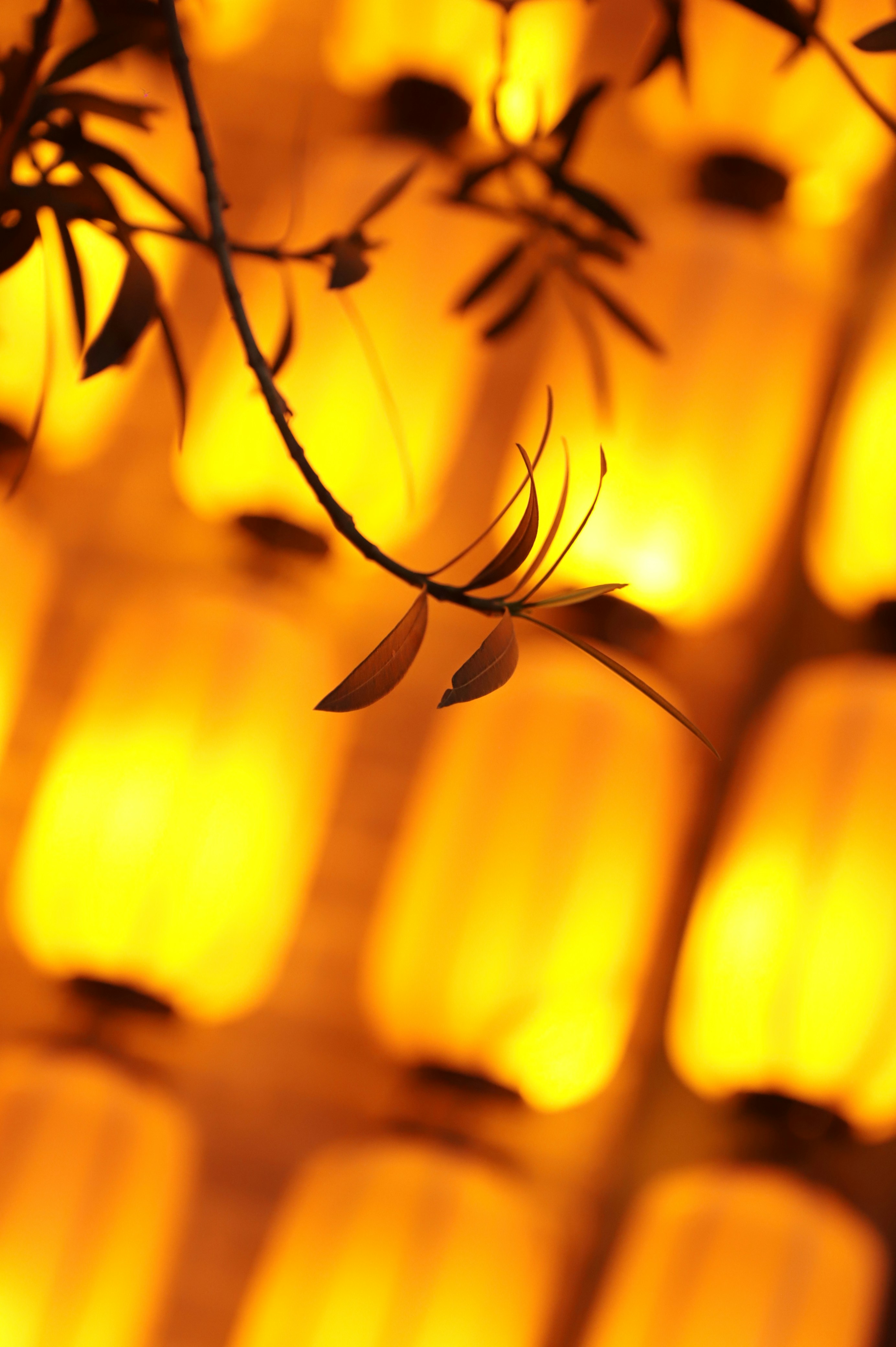 Whispering Leaves in a Lantern Sea