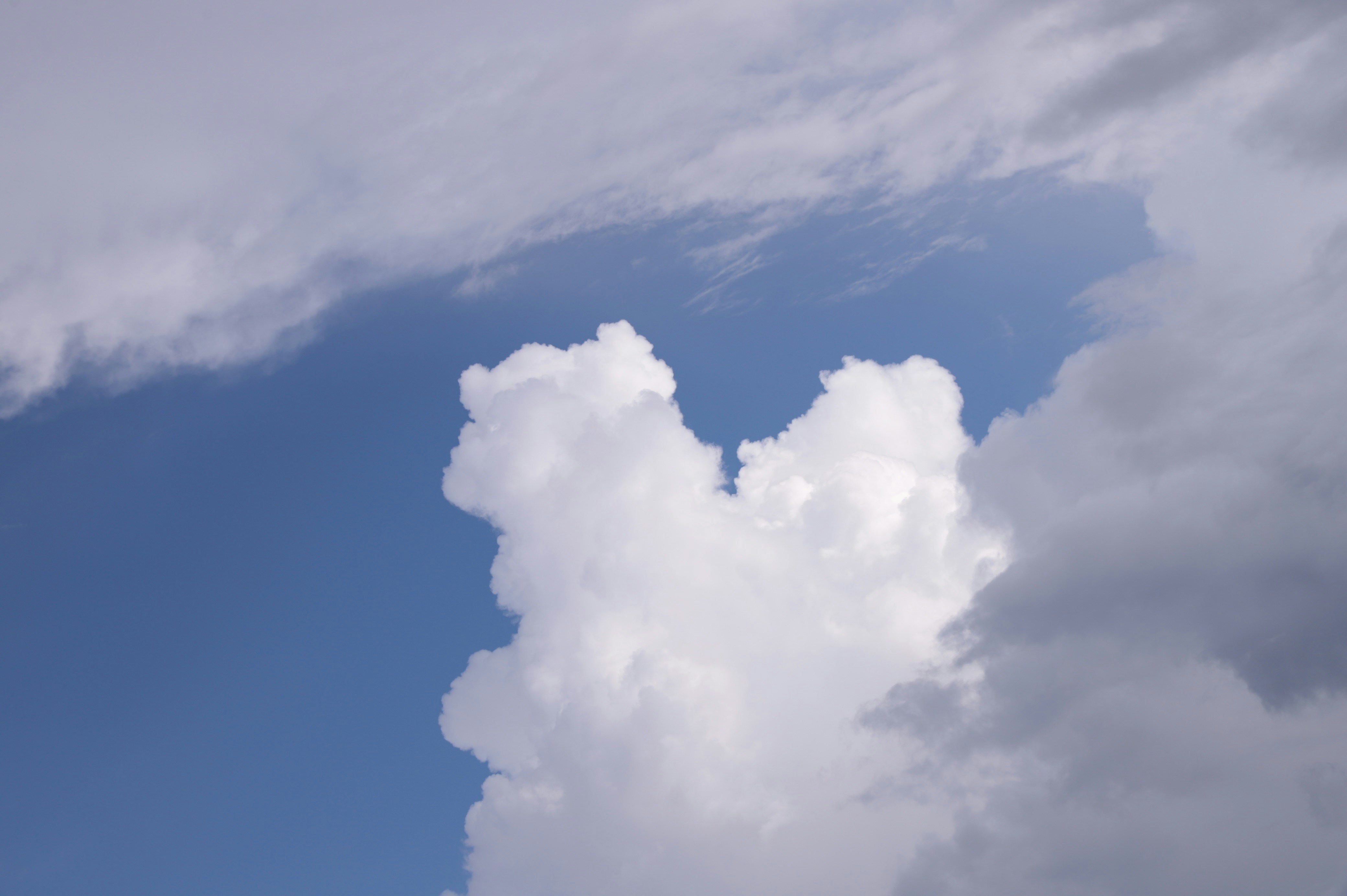 Cloud Sculpture at the Edge of Blue