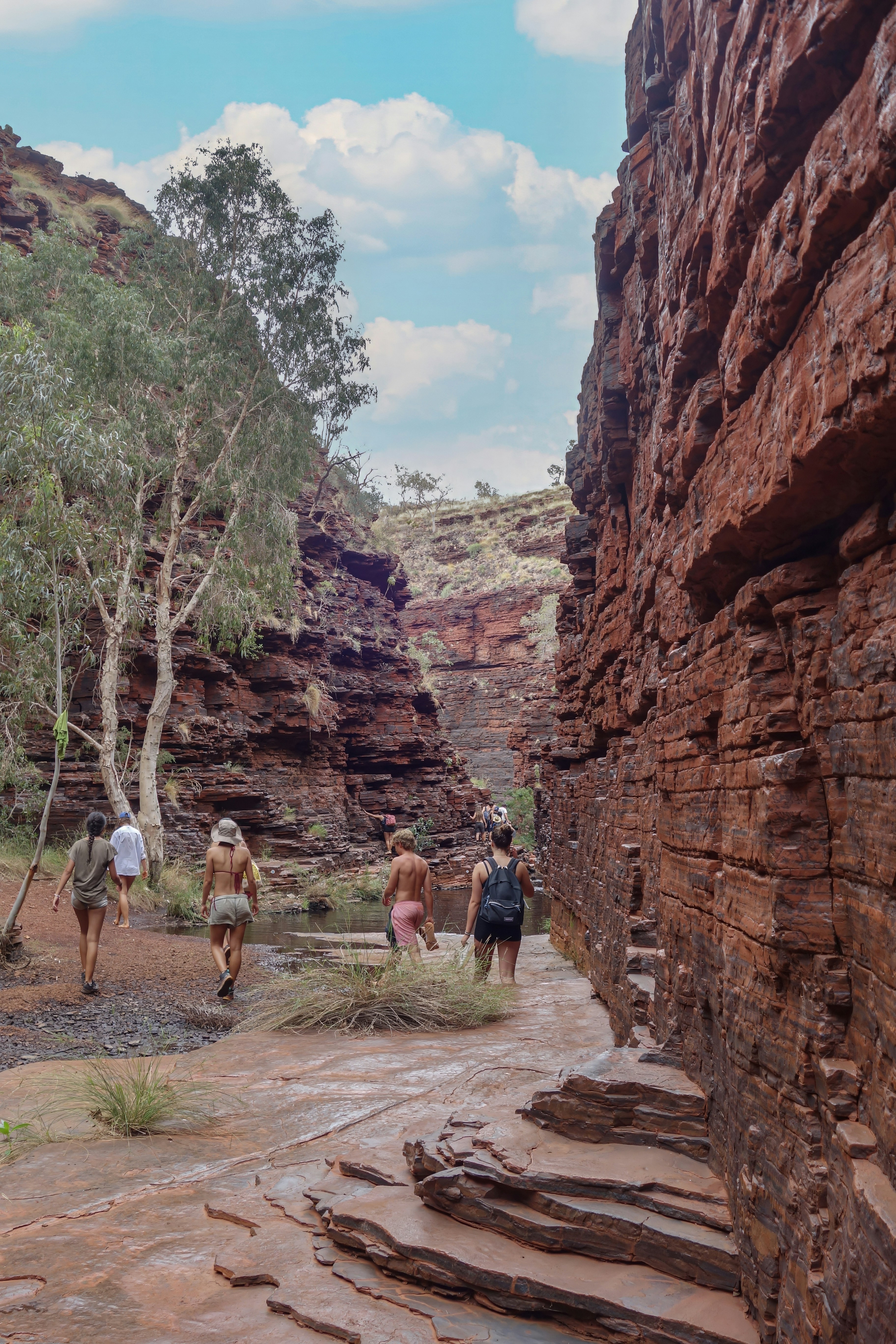 Small group of hikers traverses a shallow stream between towering red rock walls and scattered trees; the scene emphasizes a canyon corridor and the path ahead.