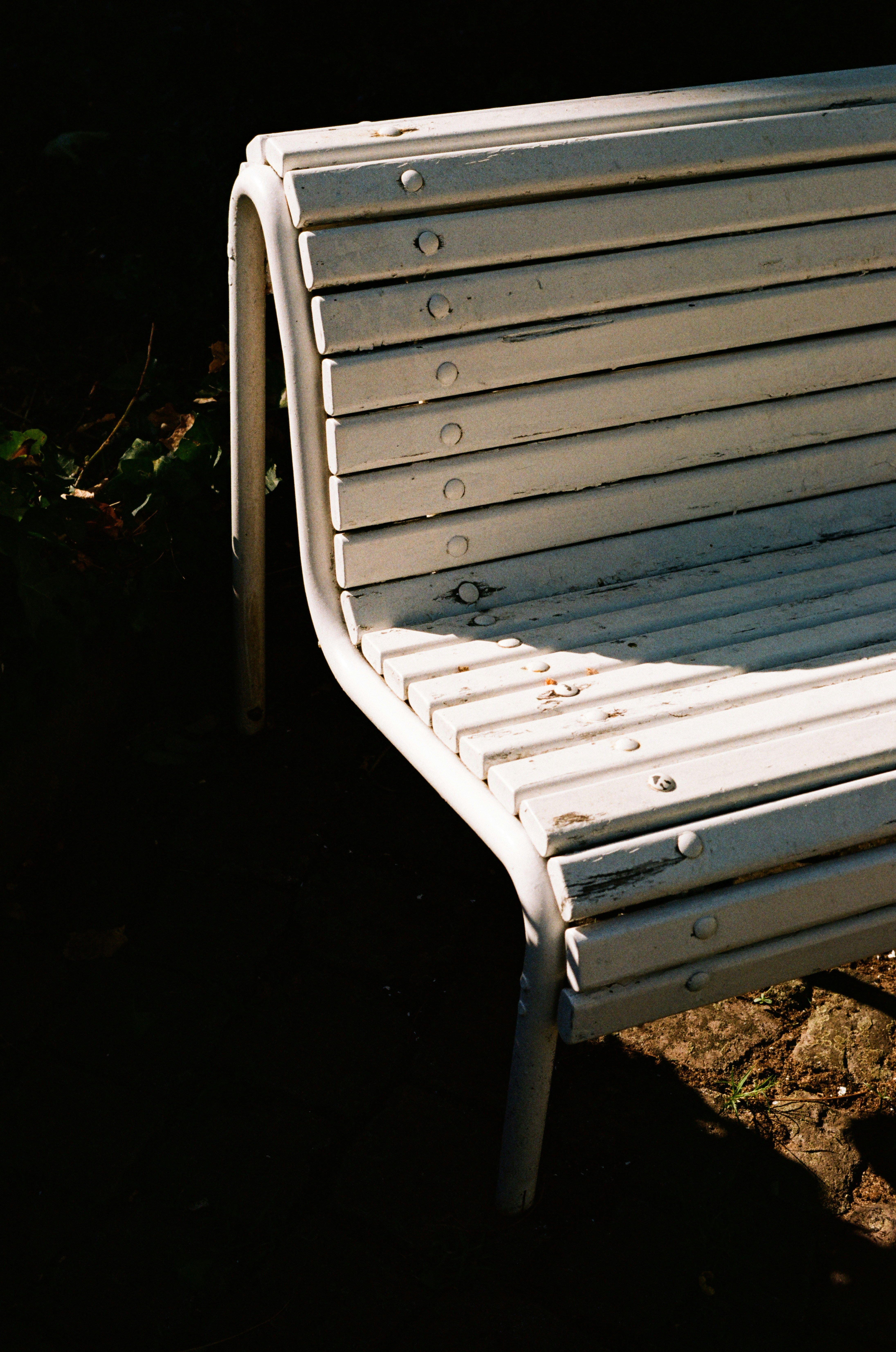 A weathered white metal bench sits in partial shadow, its slatted seat catching warm, low-angle sunlight that accents the textures and rusted studs along the frame.