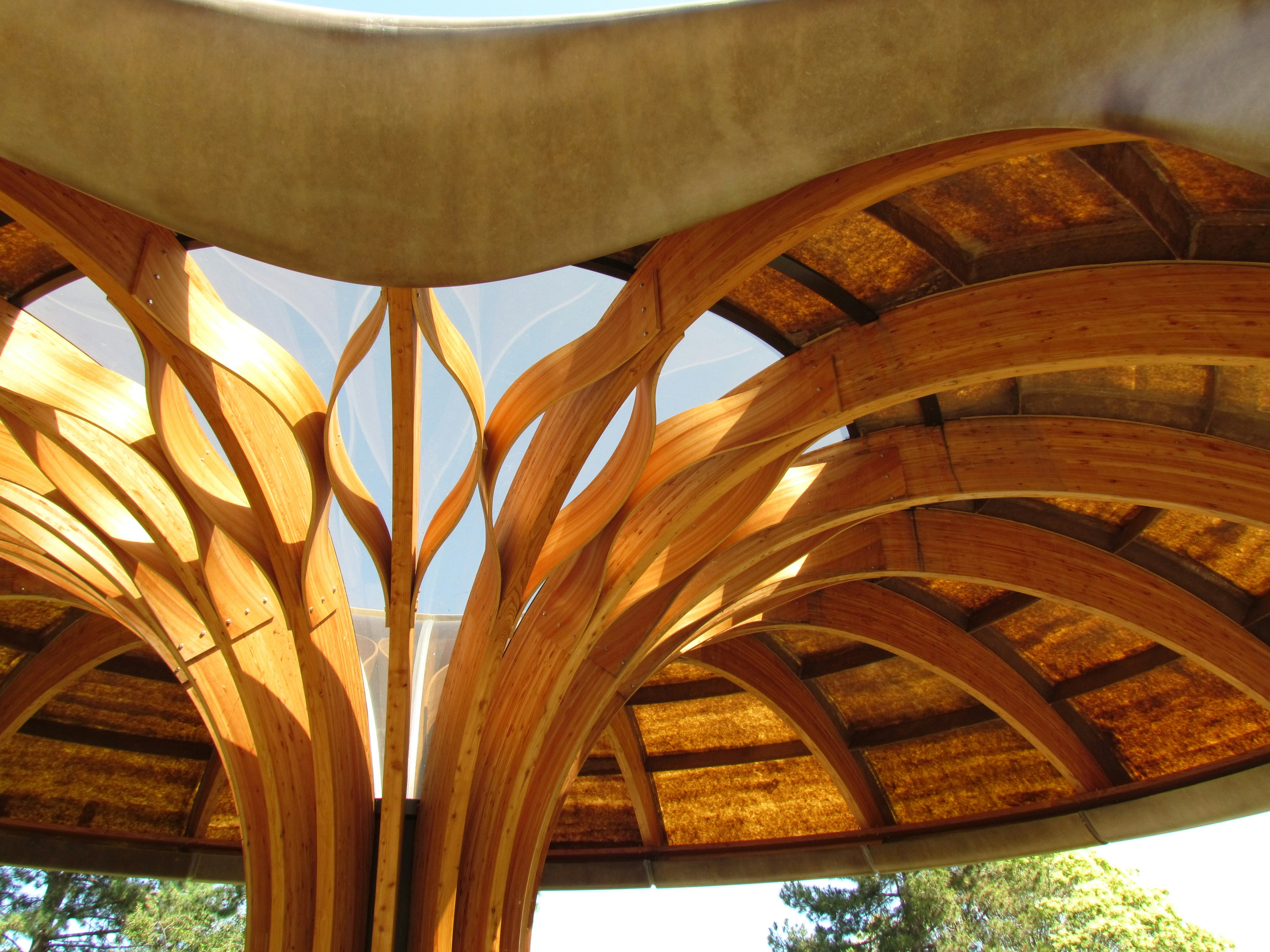 Curved Timber Cathedral: Interwoven Arches Meeting the Sky