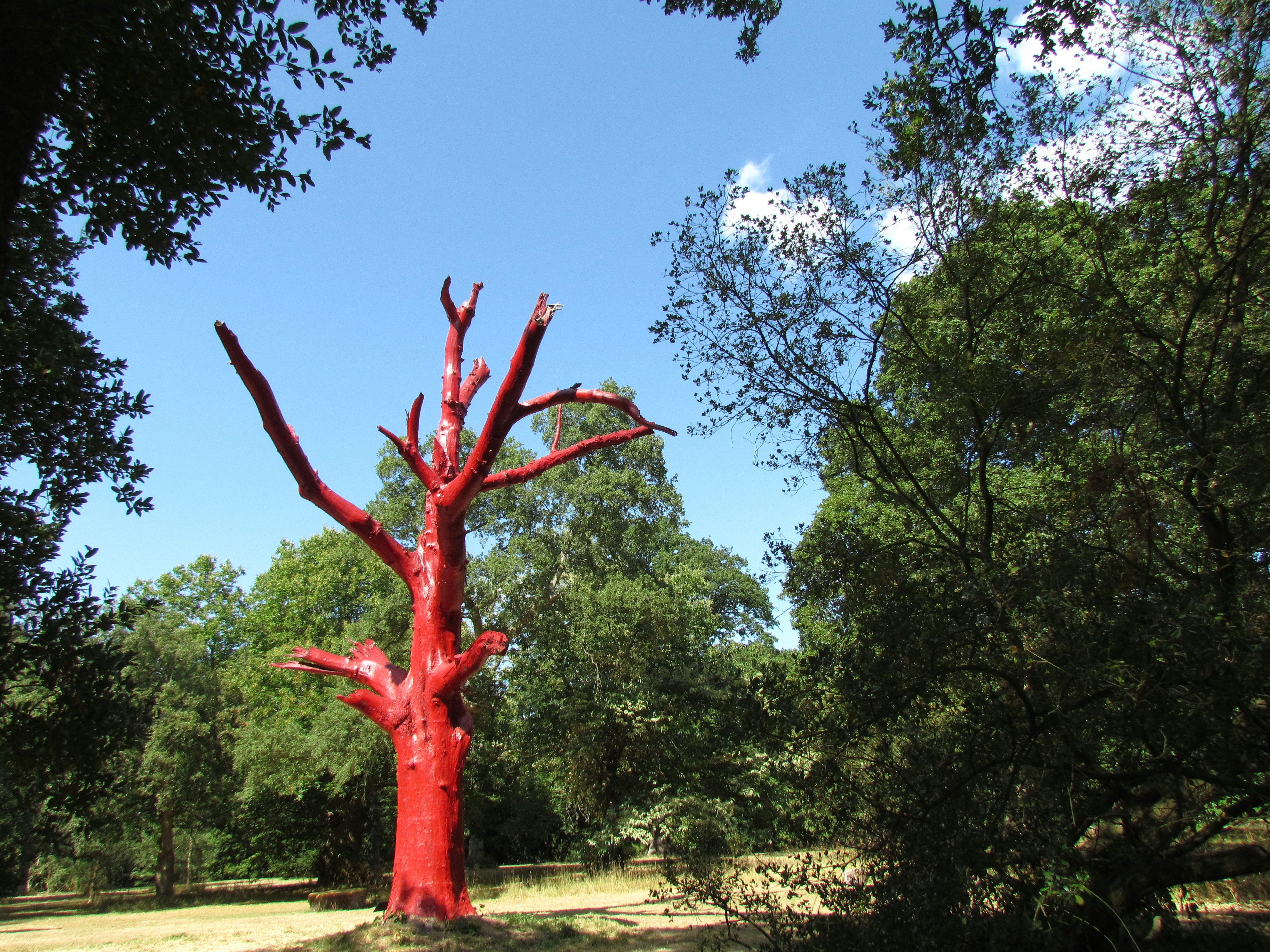 Crimson Sentinel: A Painted Tree in Sunlit Park