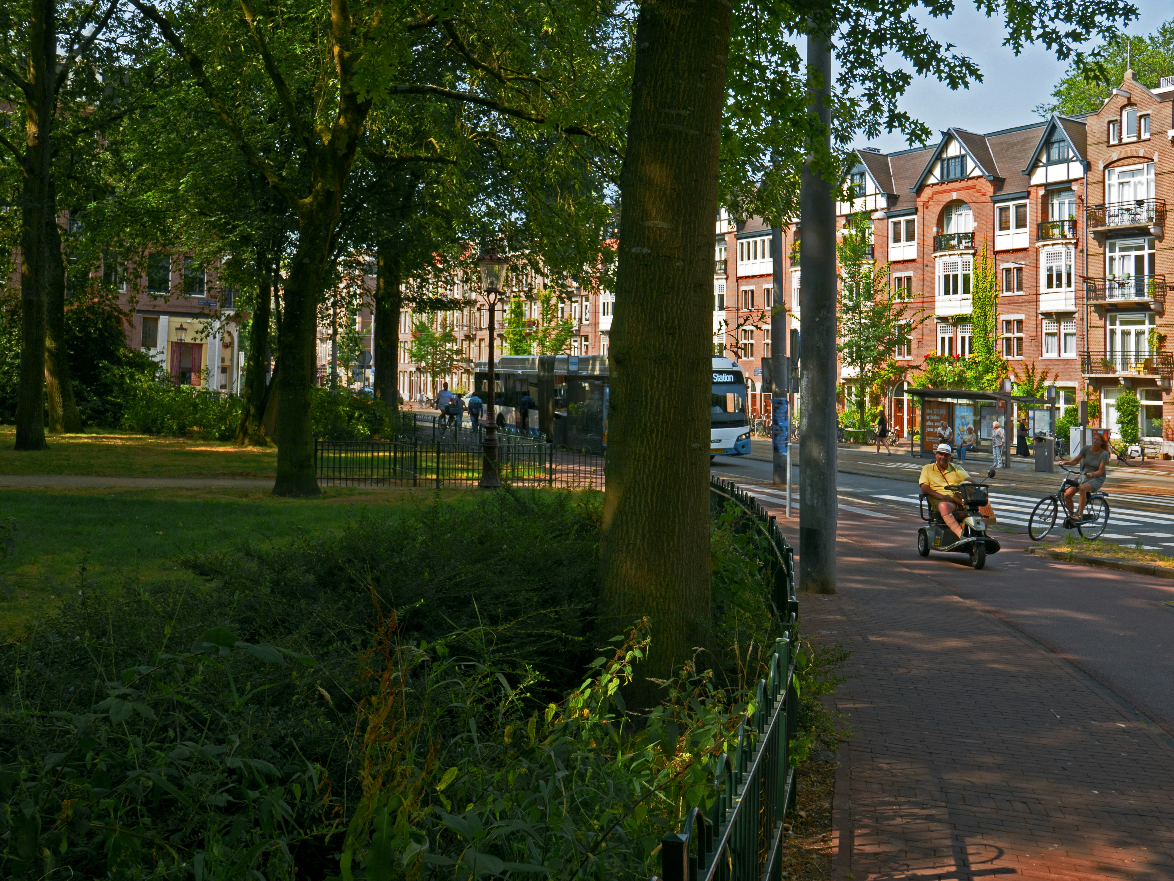 Urban Park Pathway: Trees, Buildings, and a Scooter in Motion