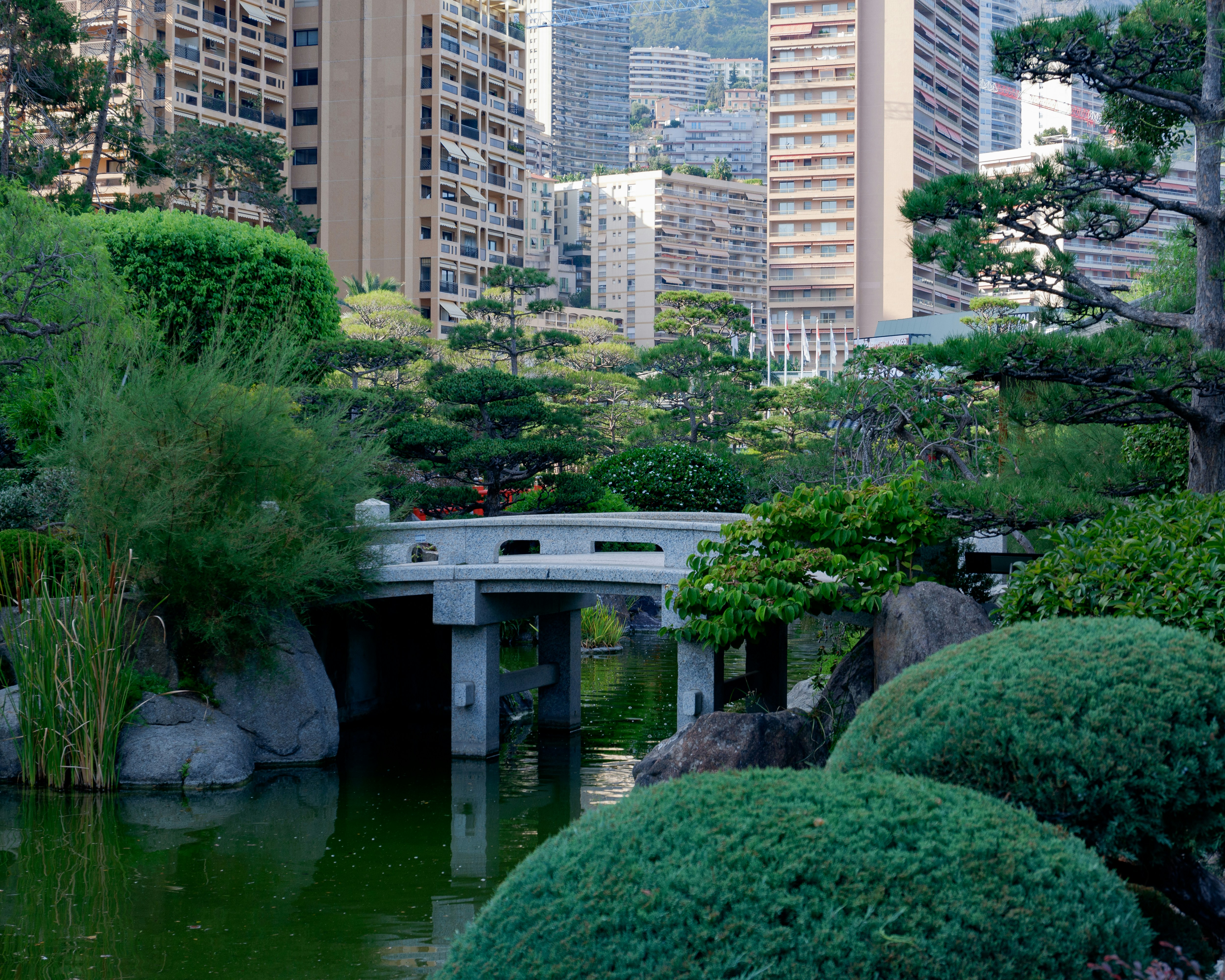 Urban Zen Garden Overlook