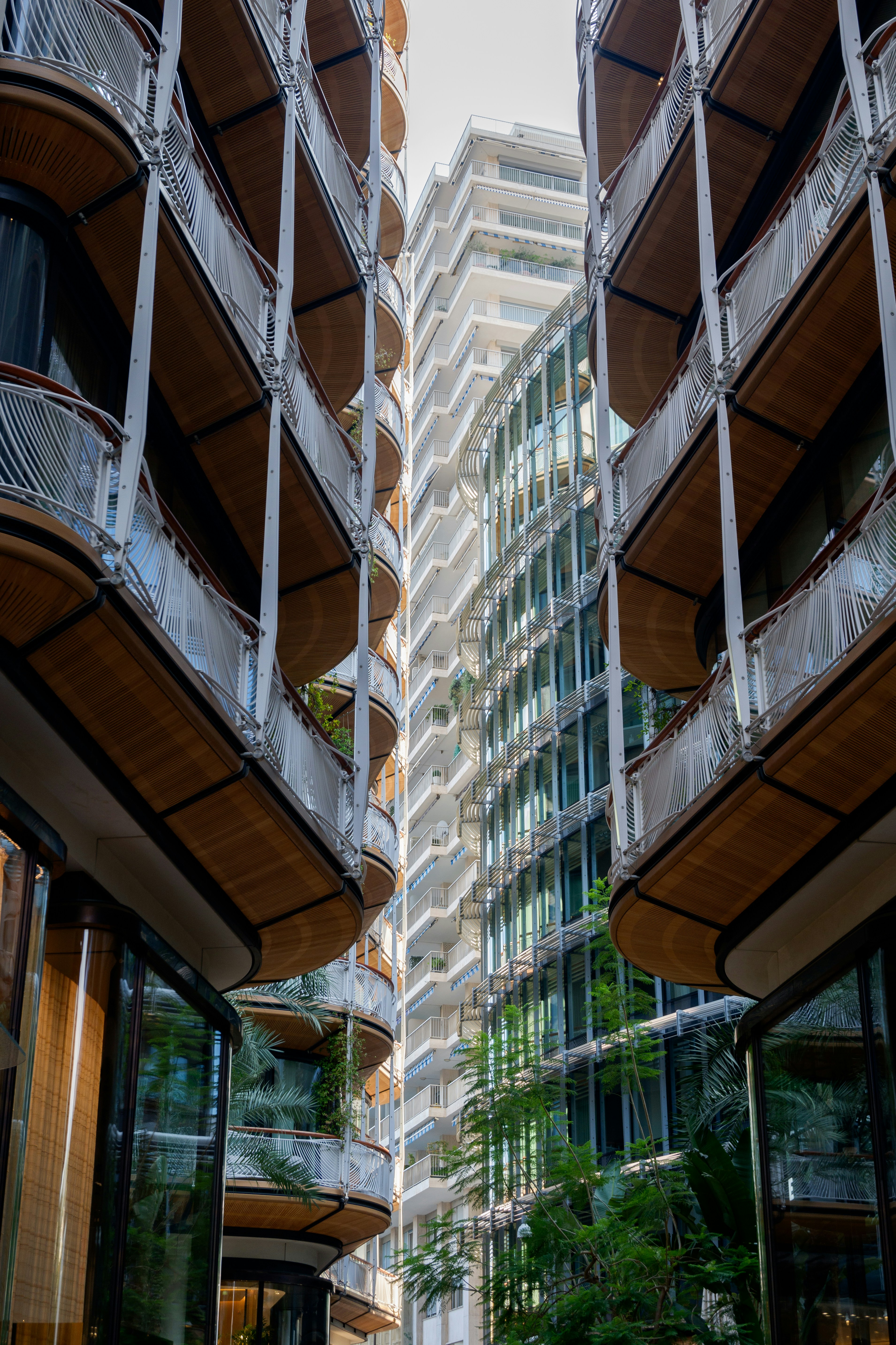 Symmetry of Curves: A Atrium Gorge Between Glass and Wood