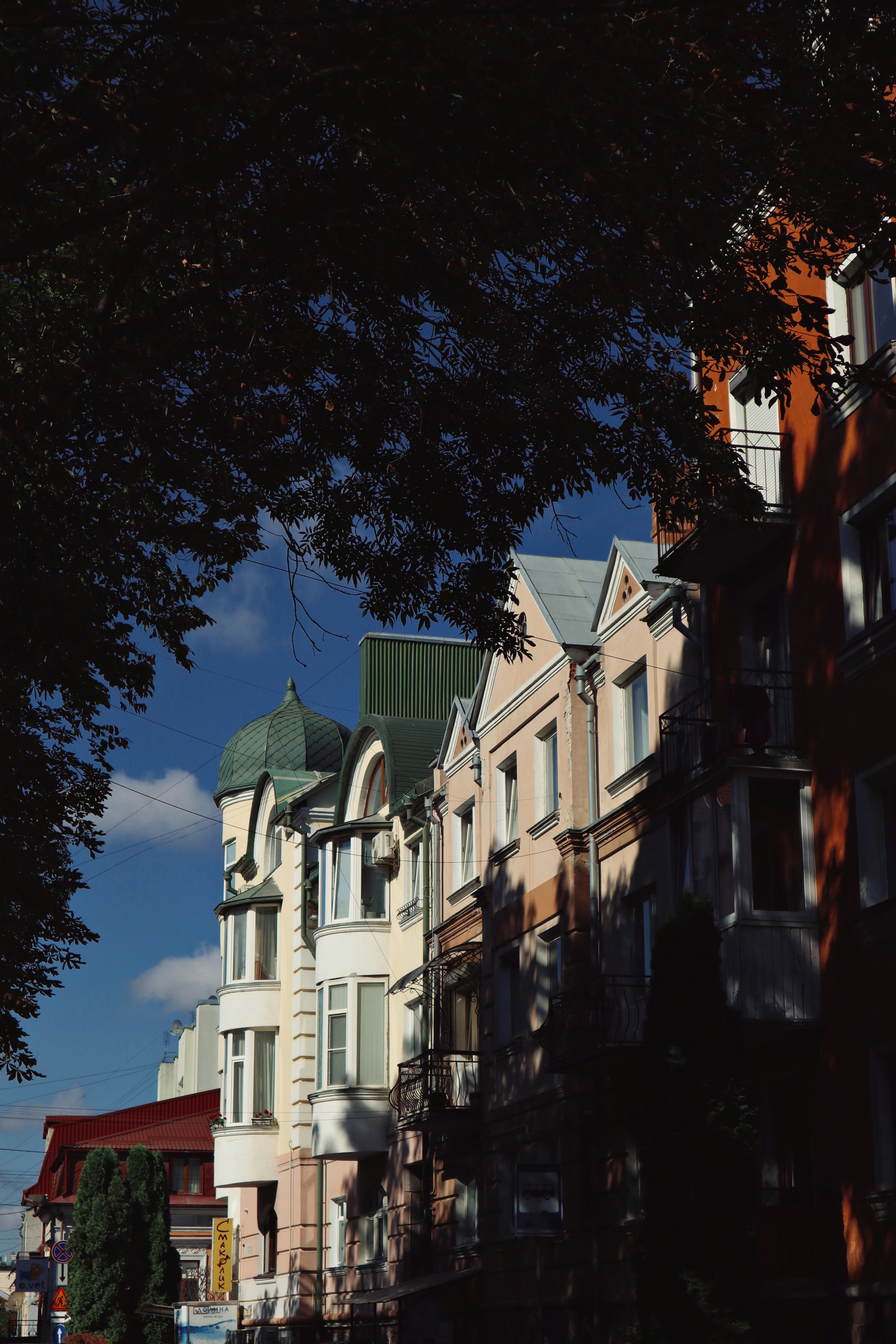 Sunlit Facades Beneath a Canopy of Shadows