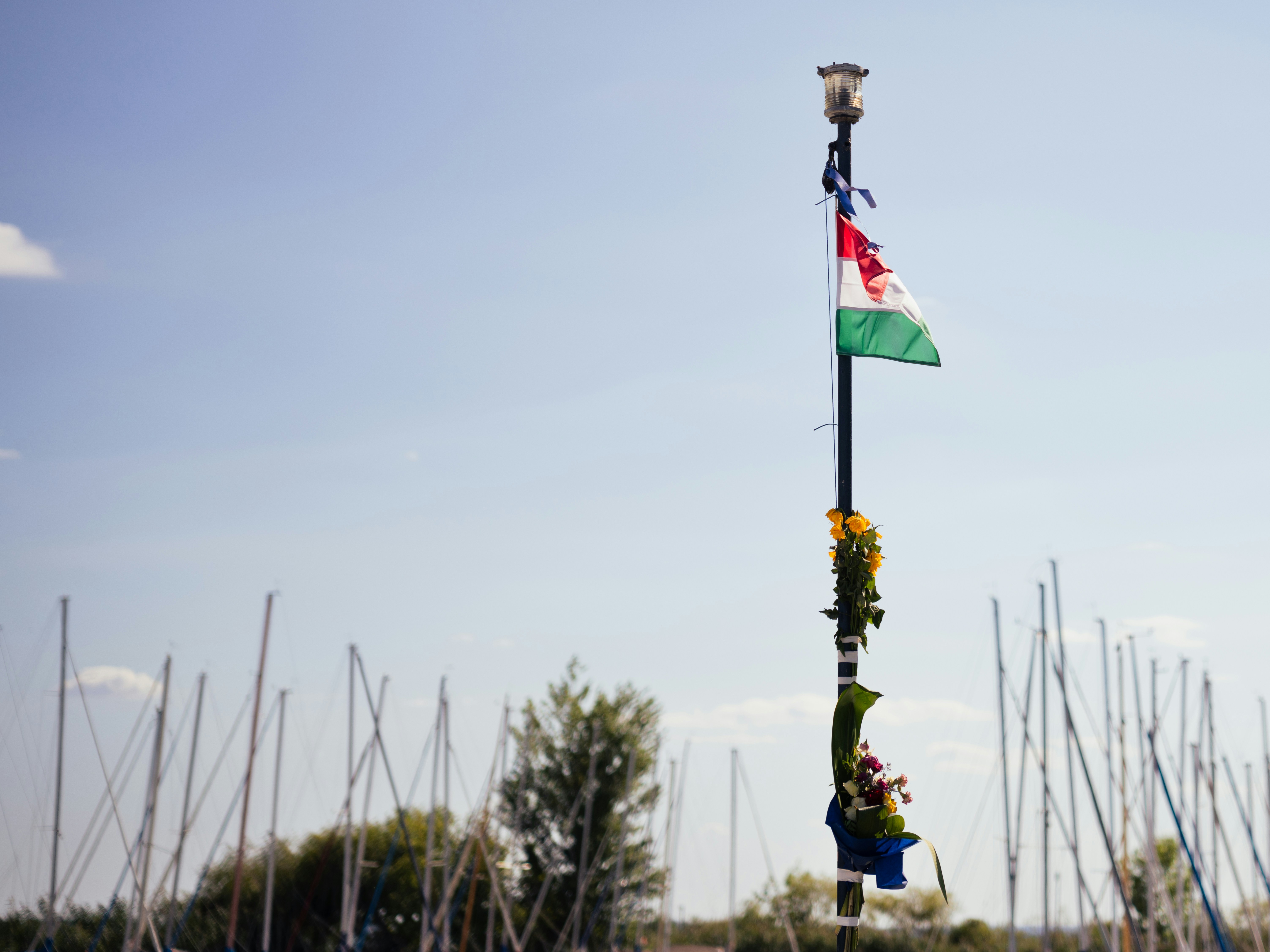 Flagpole of Stillness at the Marina