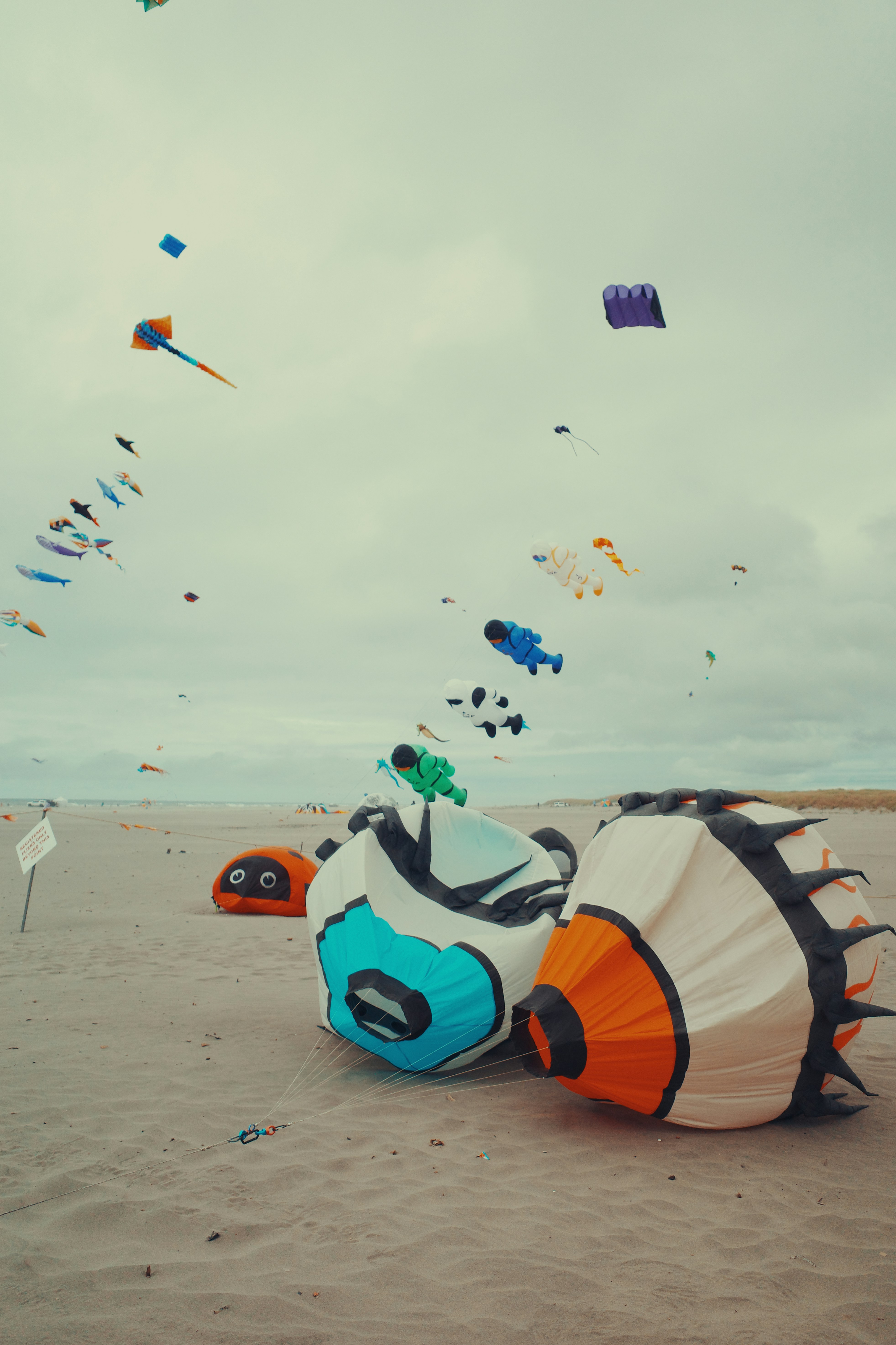 Airborne Color Stories: Kites Resting on a Wind-swept Beach