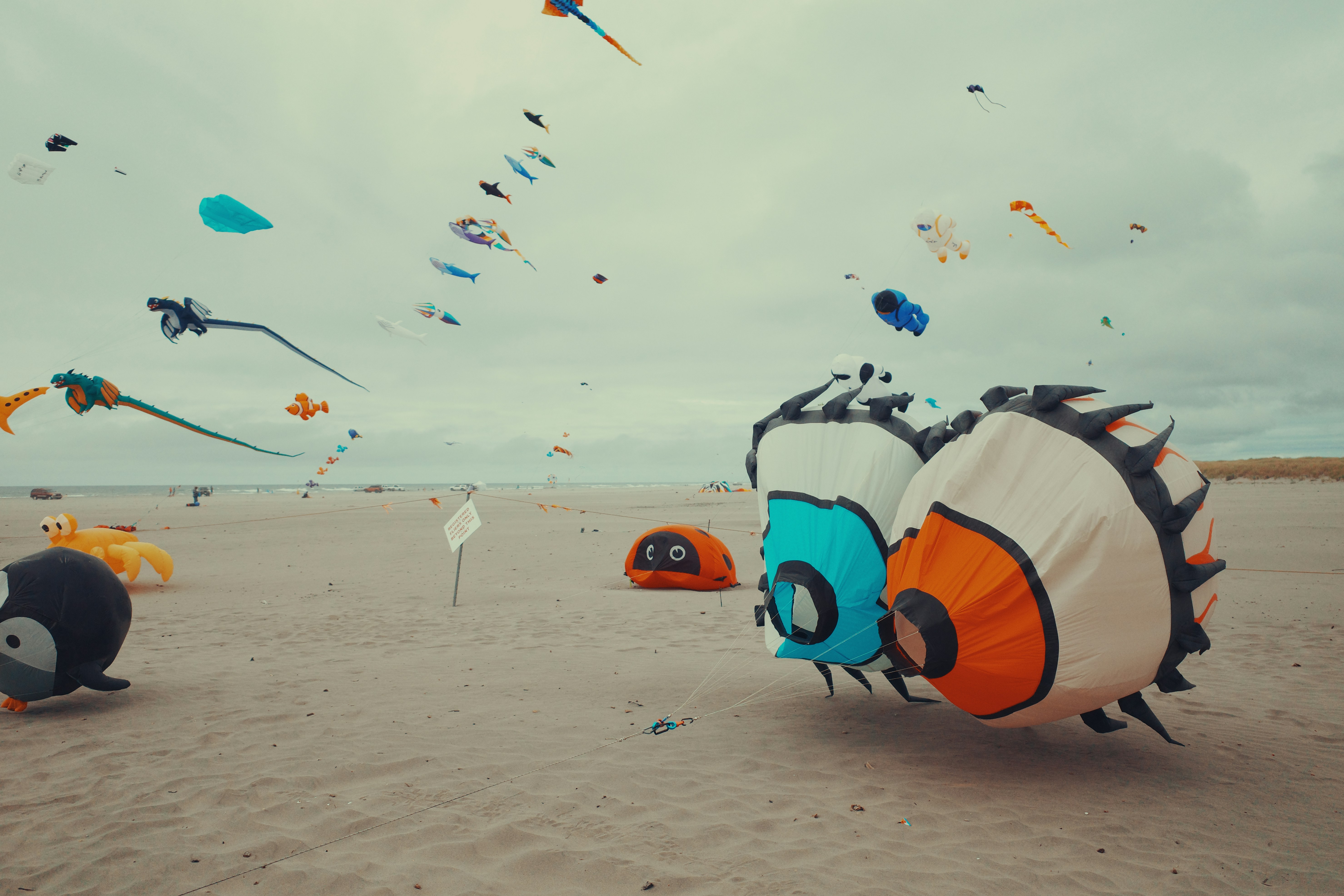 Kite-Surfing Giants on a Calm Beach