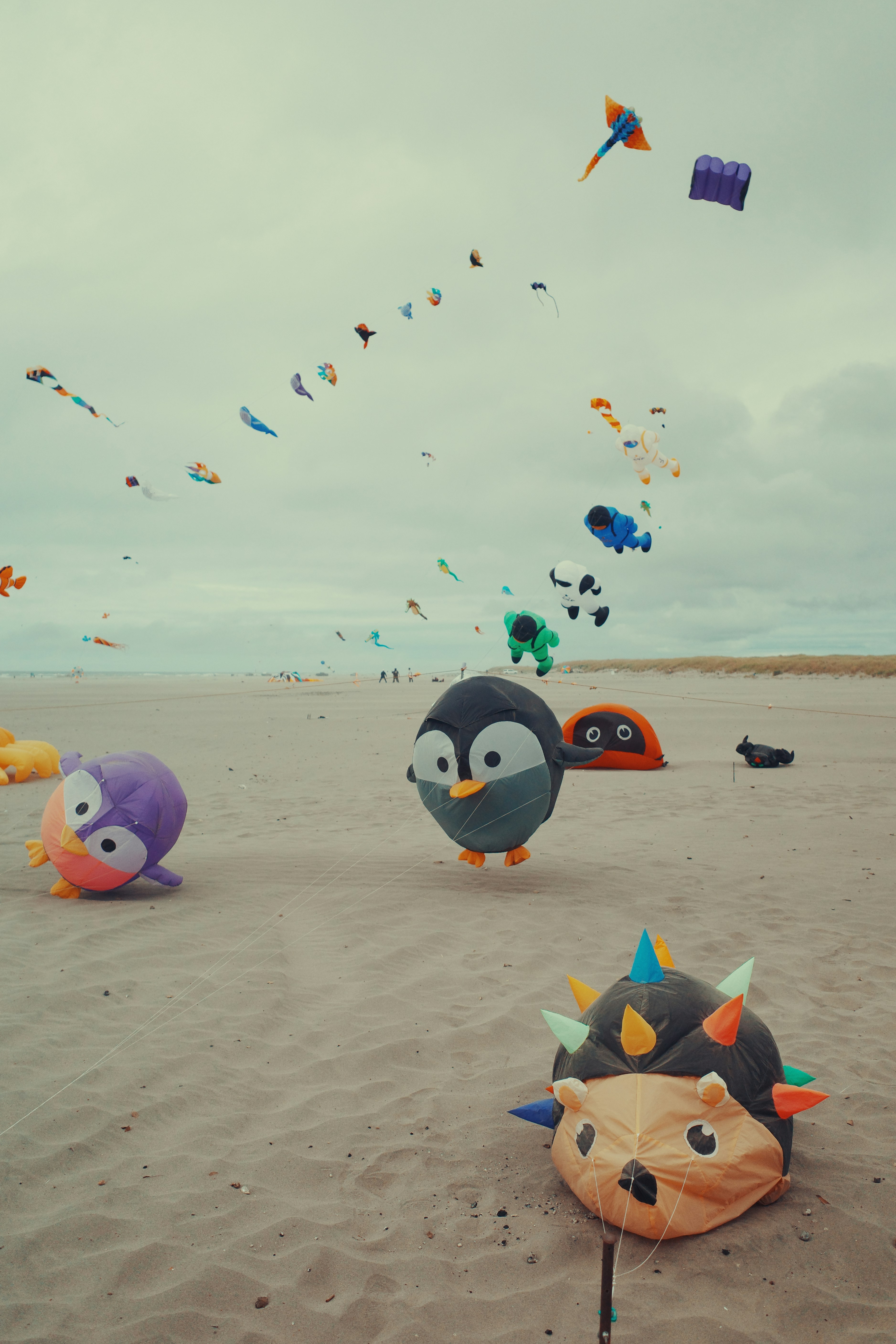 Kite-powered Parade on a Windy Beach